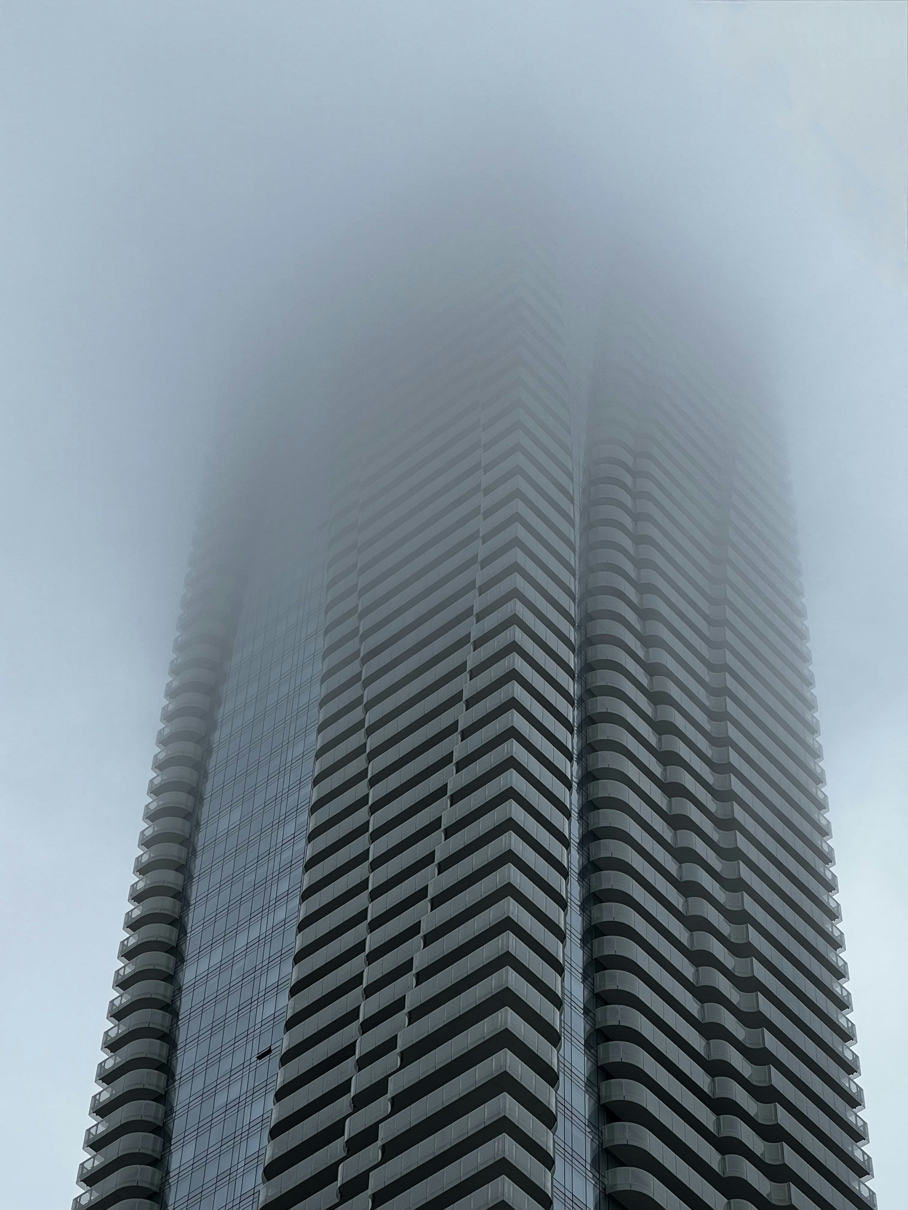 Foggy morning