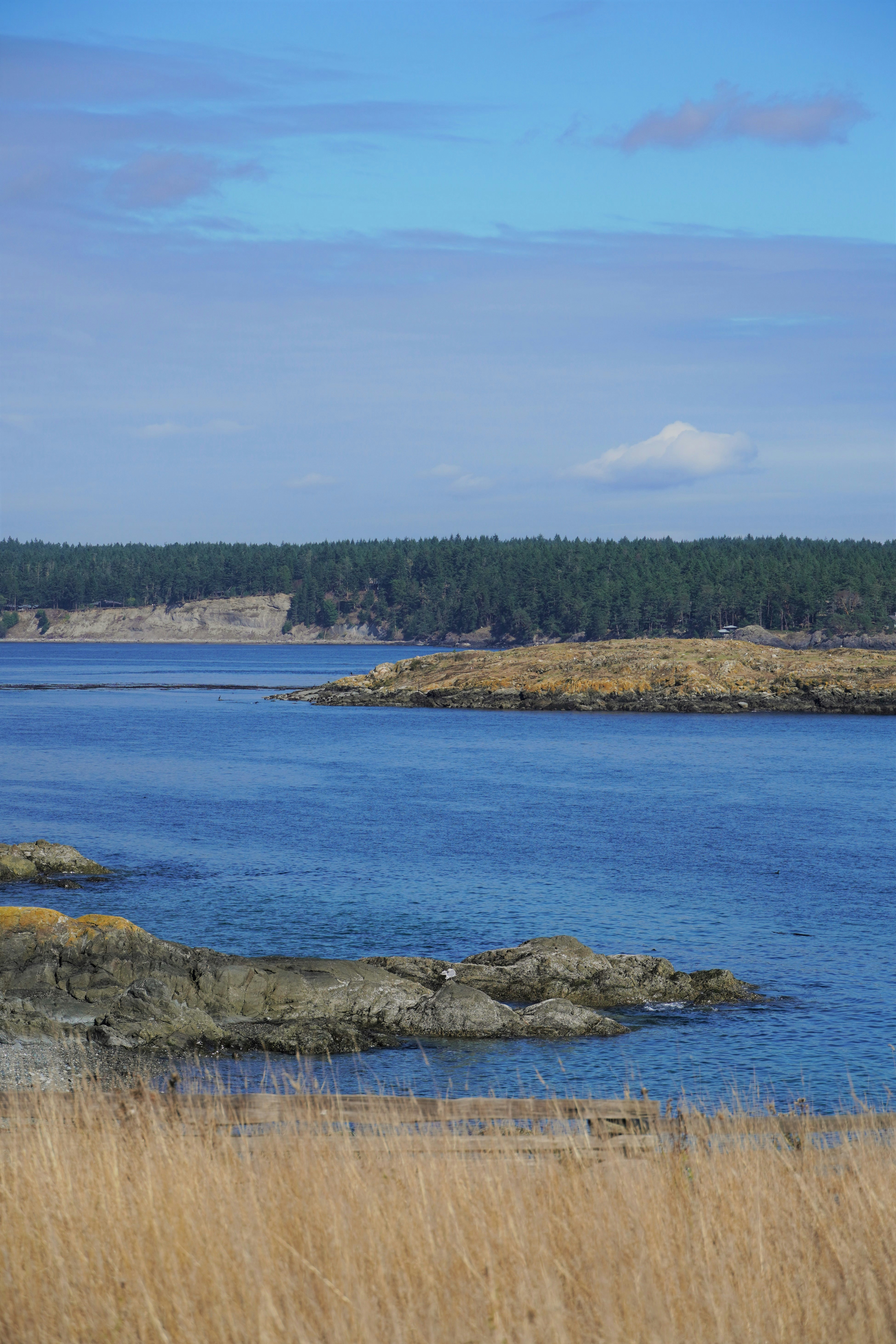 Coastal Ridge and Calm Blue Waters