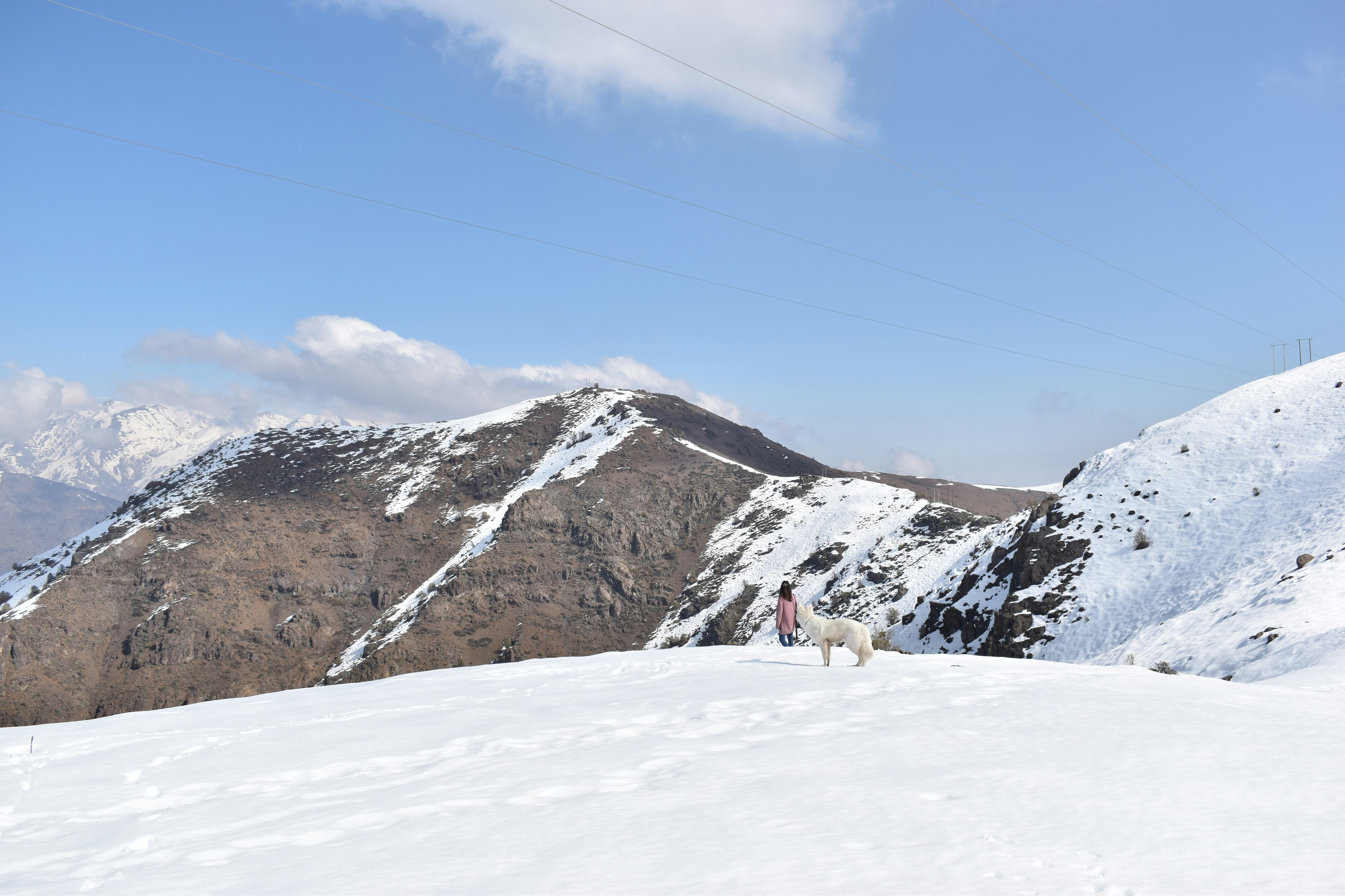 Snowbound Ridge: A hiker and their dog on a quiet alpine crest