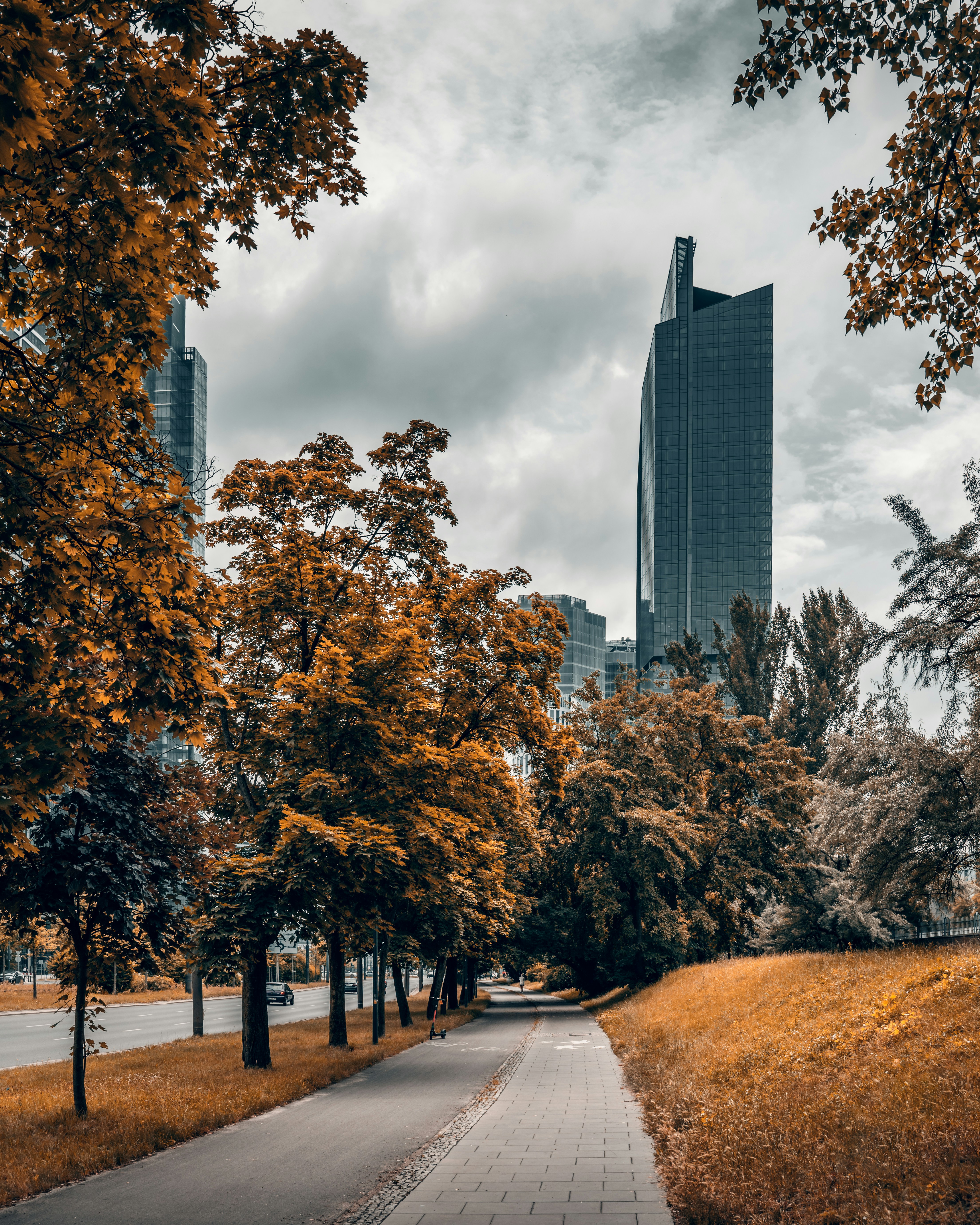 I really like the pictures from this place - the trees make a fantastic frame and enhance the contrast between nature and modern architecture.