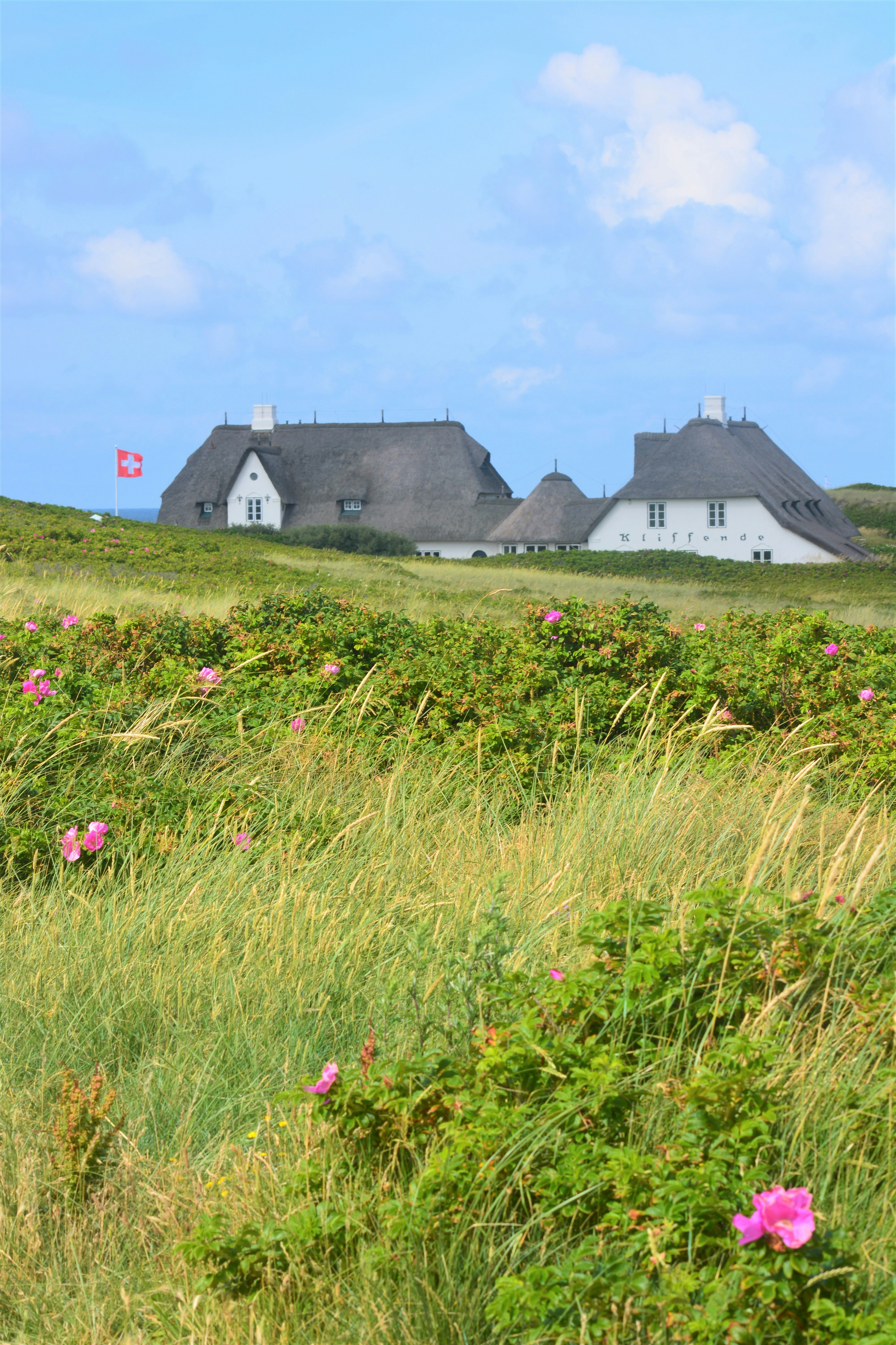 Traditional thatched-roof cottages nestled in lush green fields with pink wildflowers under a bright blue sky.