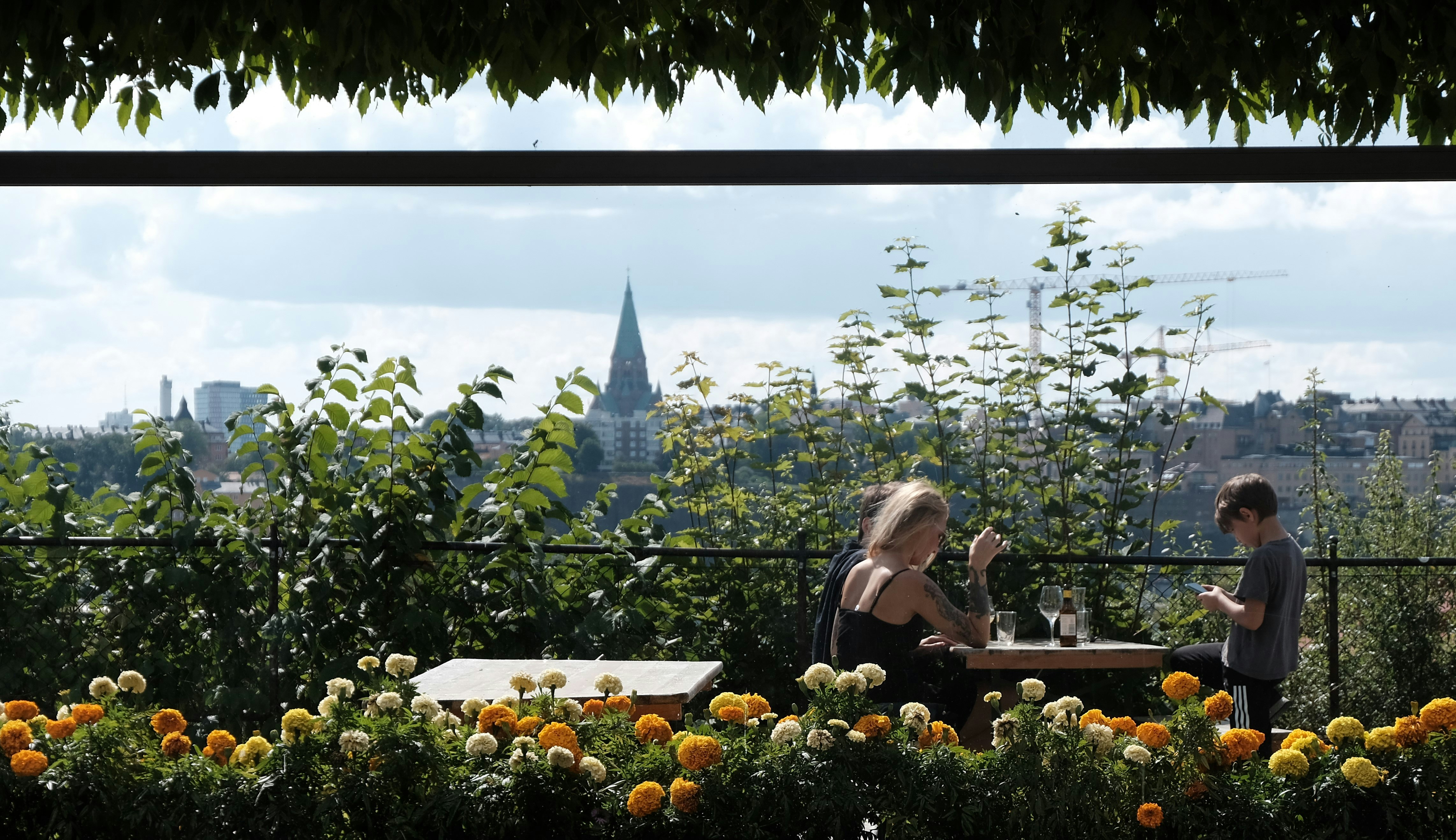 Sunlit Terrace Lunch with Cityscape Backdrop