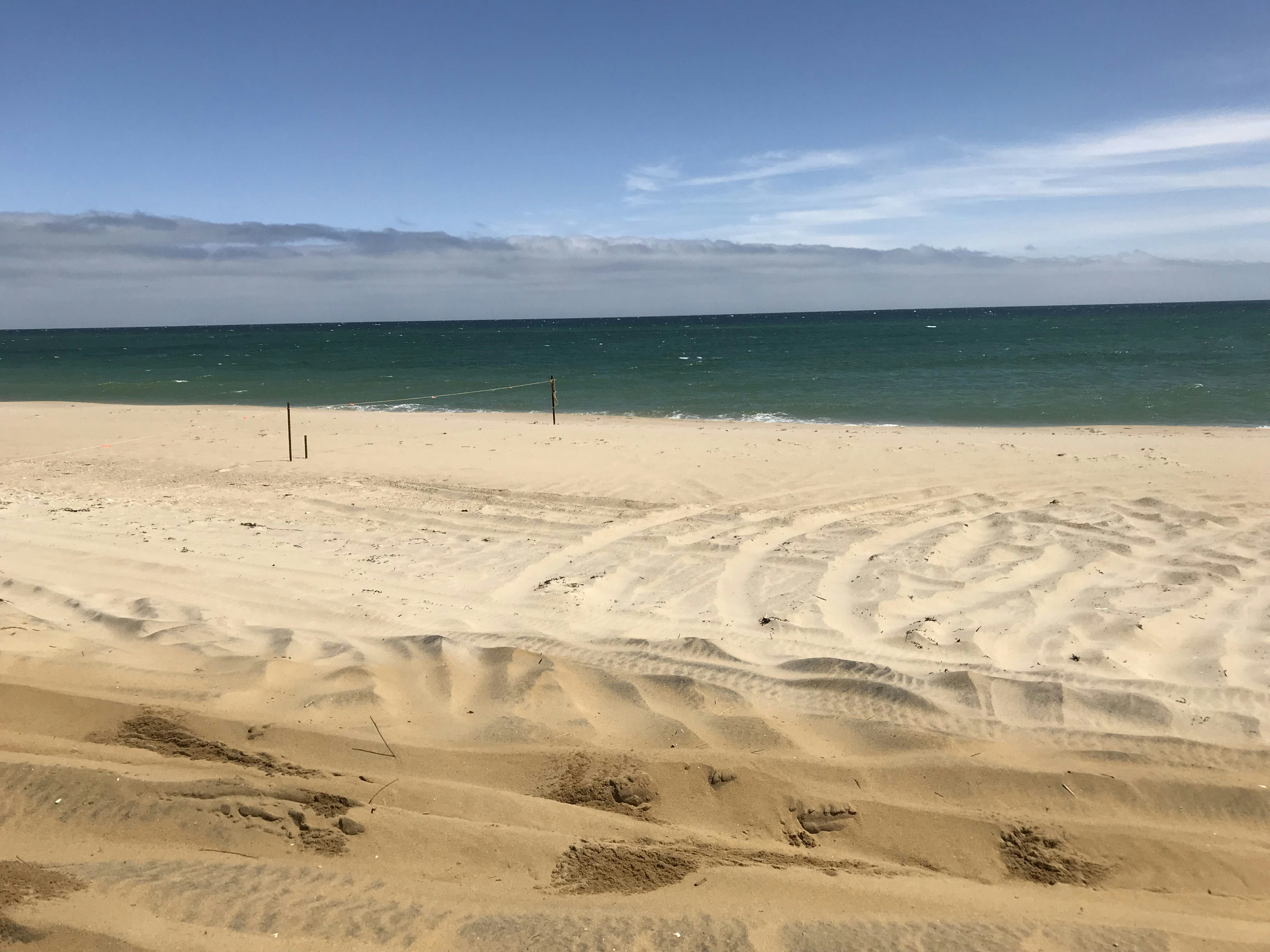 a sandy beach with a blue ocean in the background