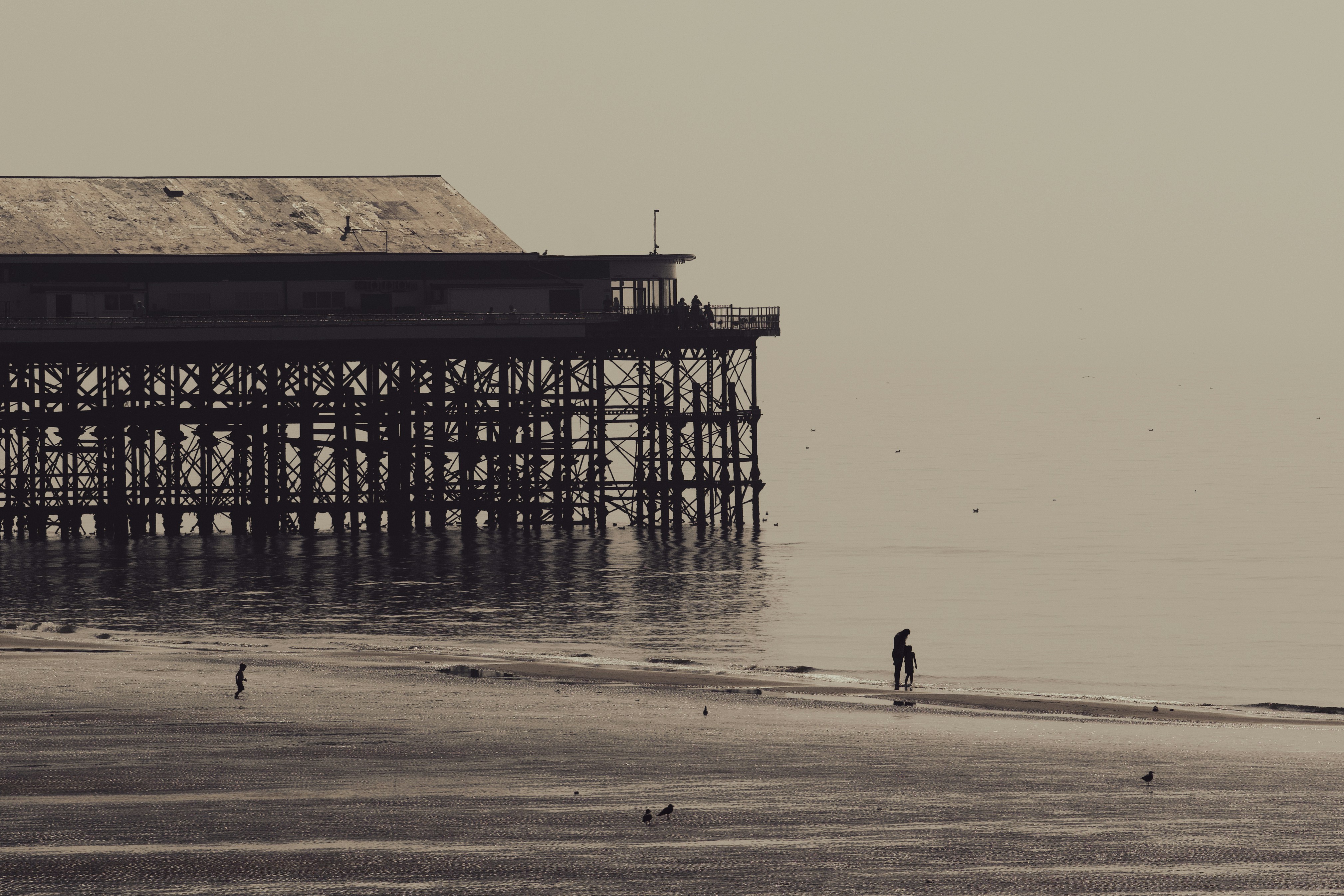 Solitude Under the Pier