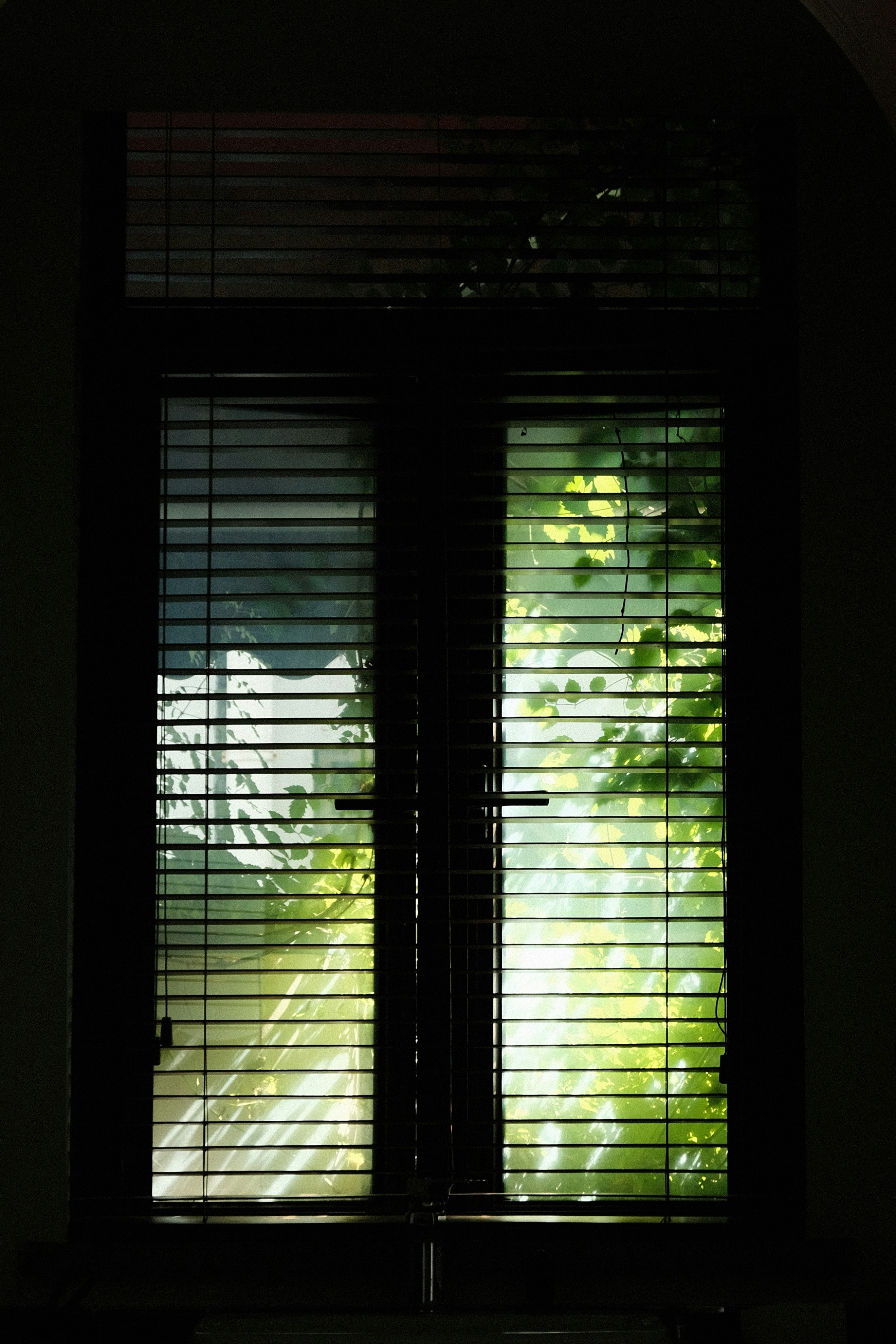 Summer Window Pictures | Download Free Images on Unsplash