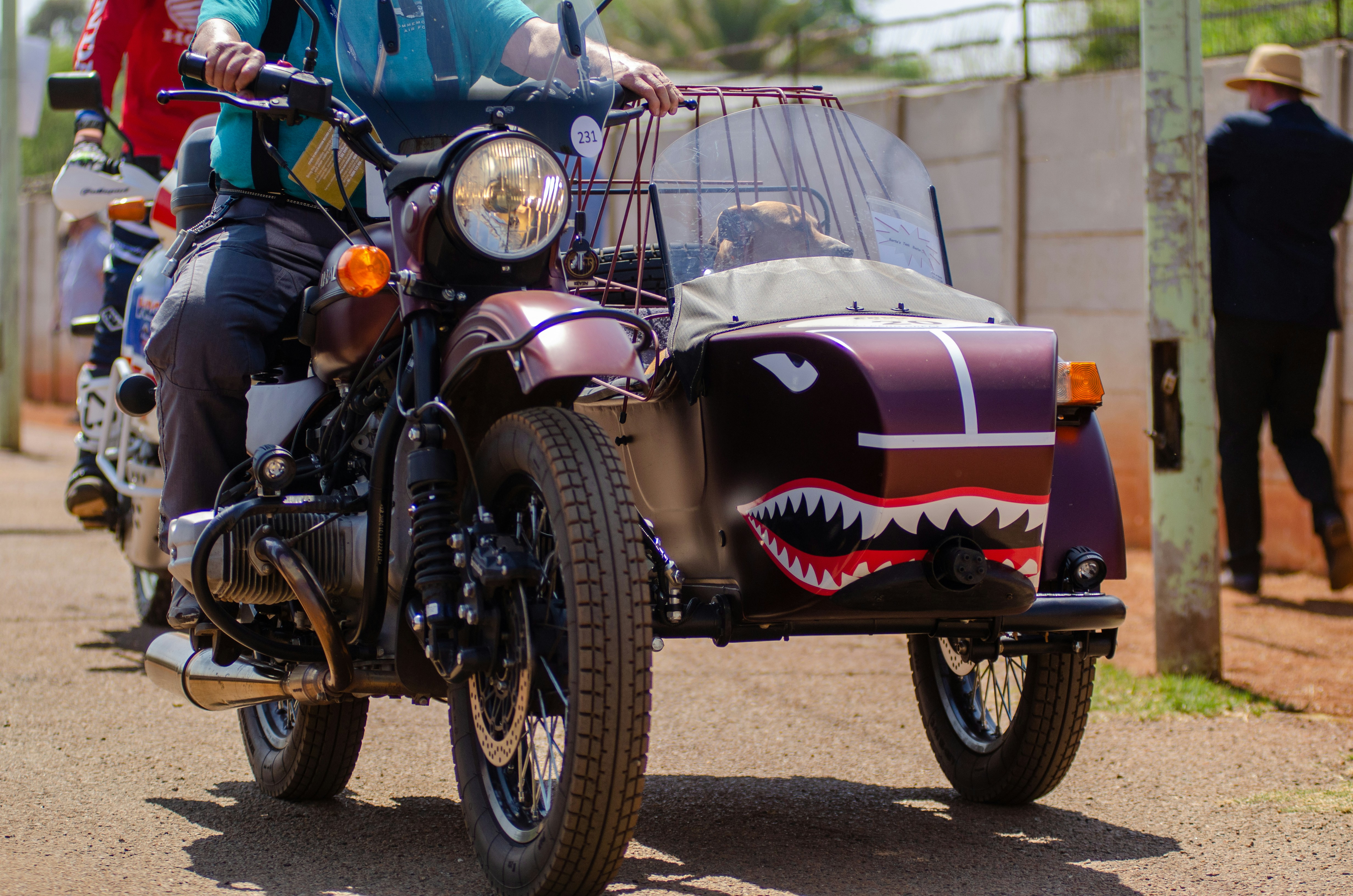 Shark-Mouthed Sidecar in a Sunlit Parade of Vintage Motorcycles