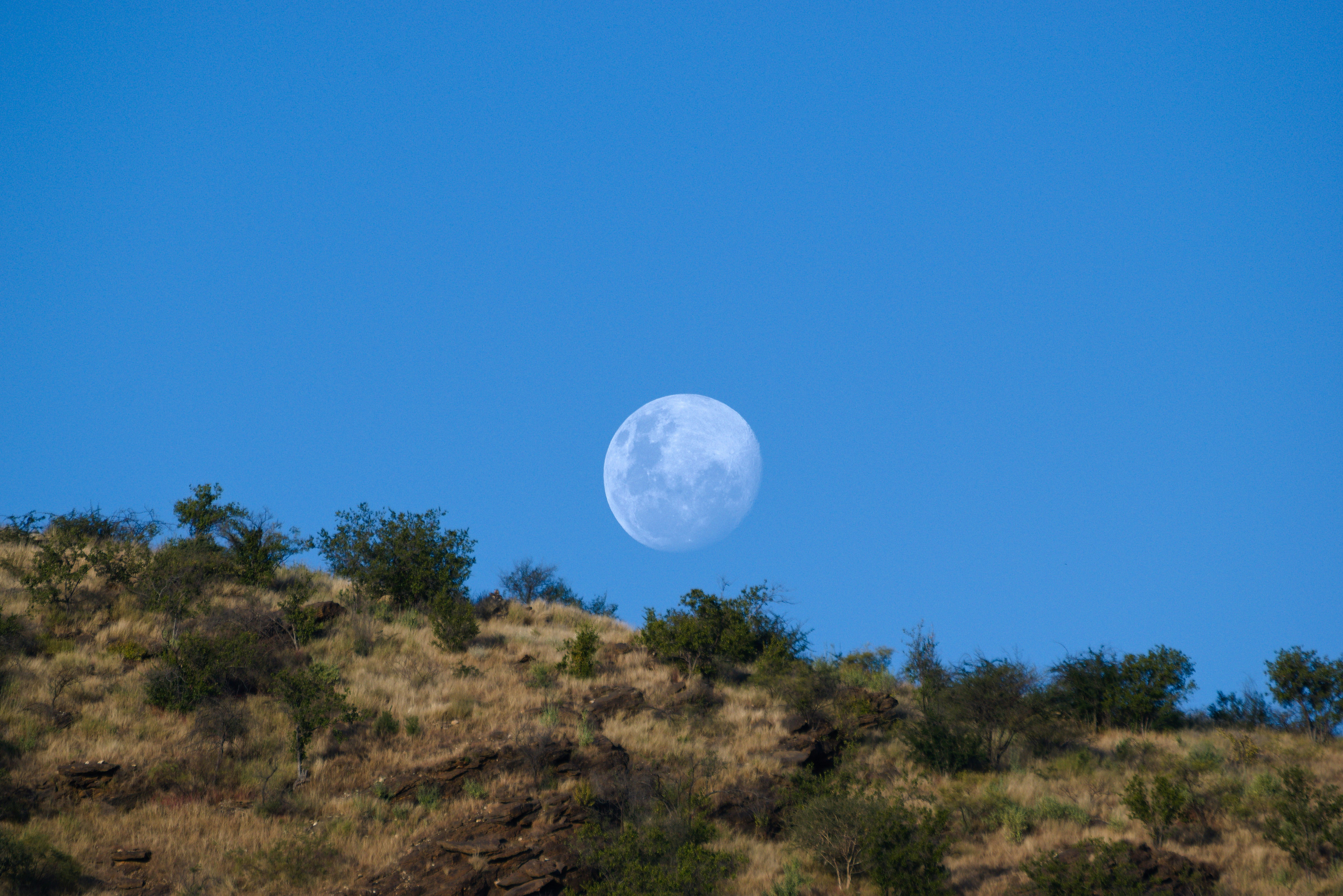 Full moon rising above a hilly landscape dotted with sparse vegetation under a clear blue sky.