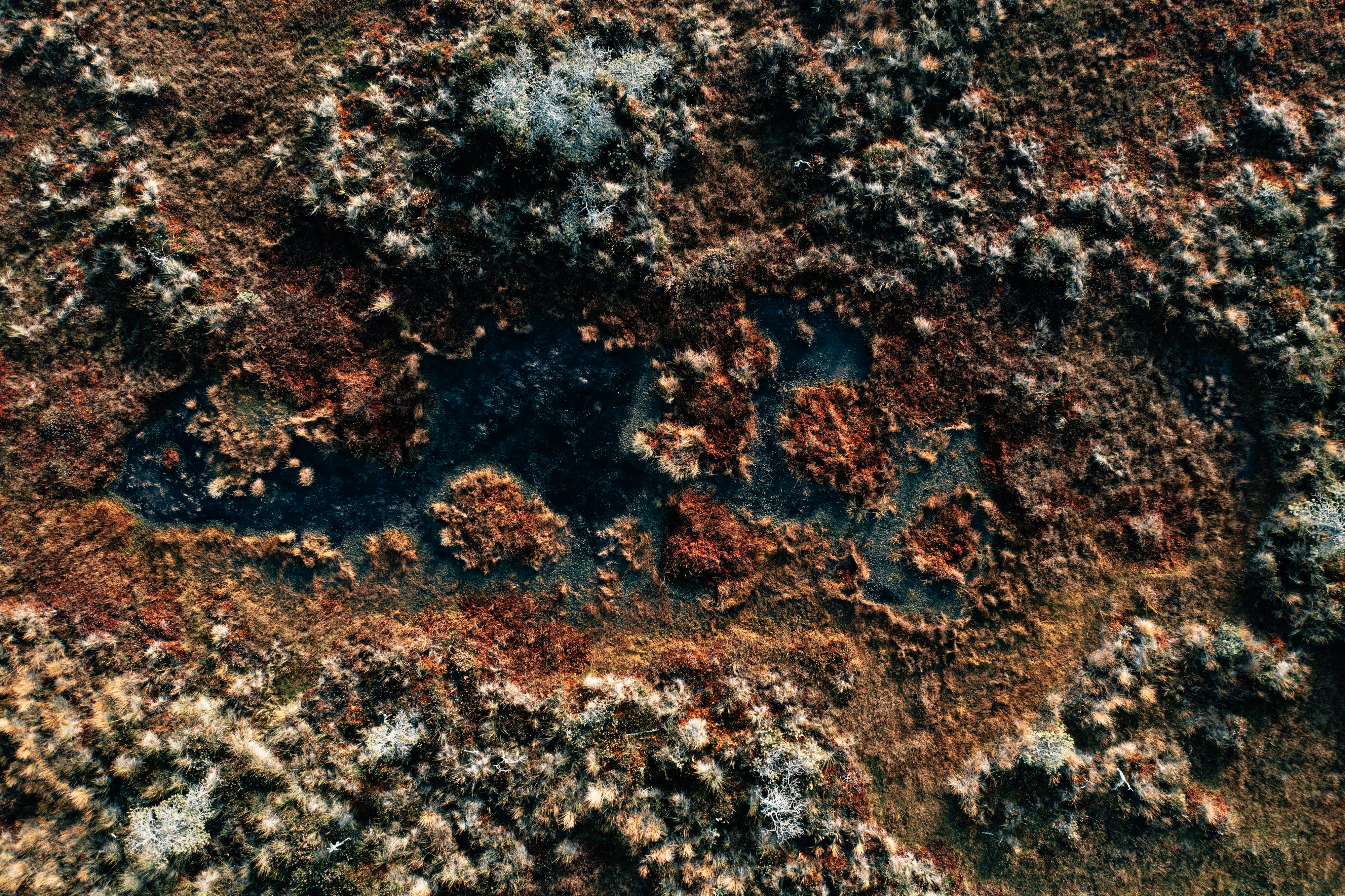 Une vue aérienne d’une parcelle de terre percée d’un trou photo – Photo ...