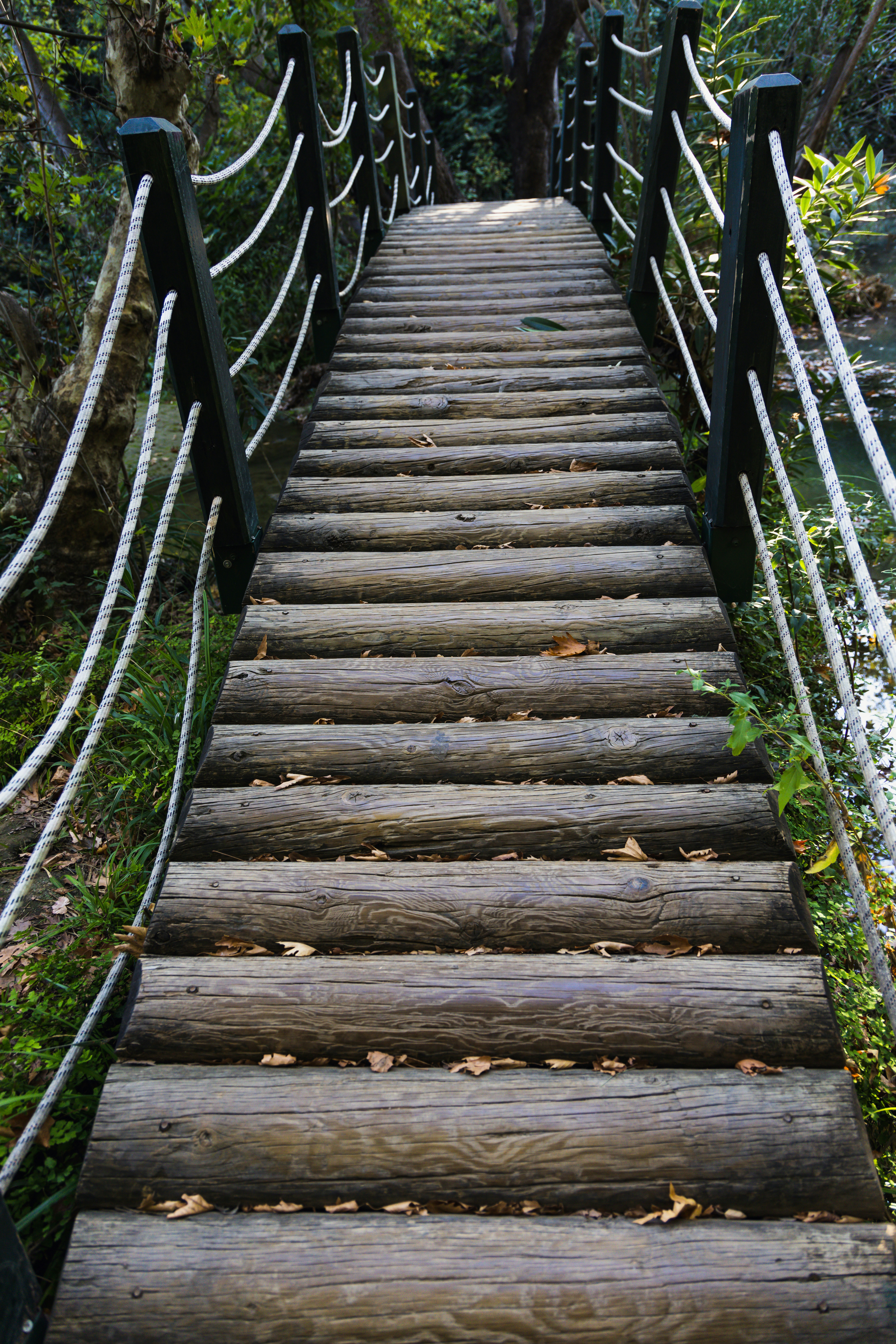 Wooden bridge leading through a lush green forest, framed by vibrant foliage and dappled sunlight. Leaves scattered across the planks add to the tranquil ambiance.