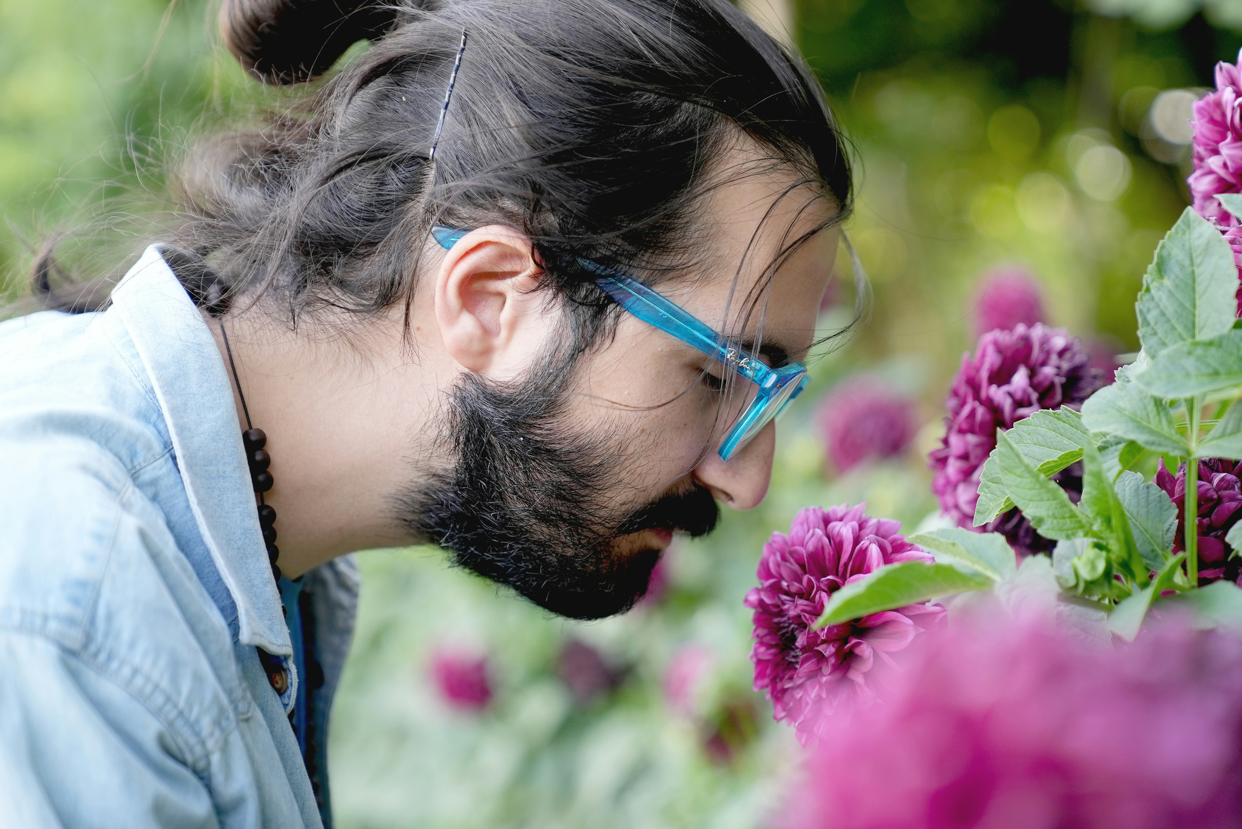 Bearded Observer Bends Toward Hydrangeas