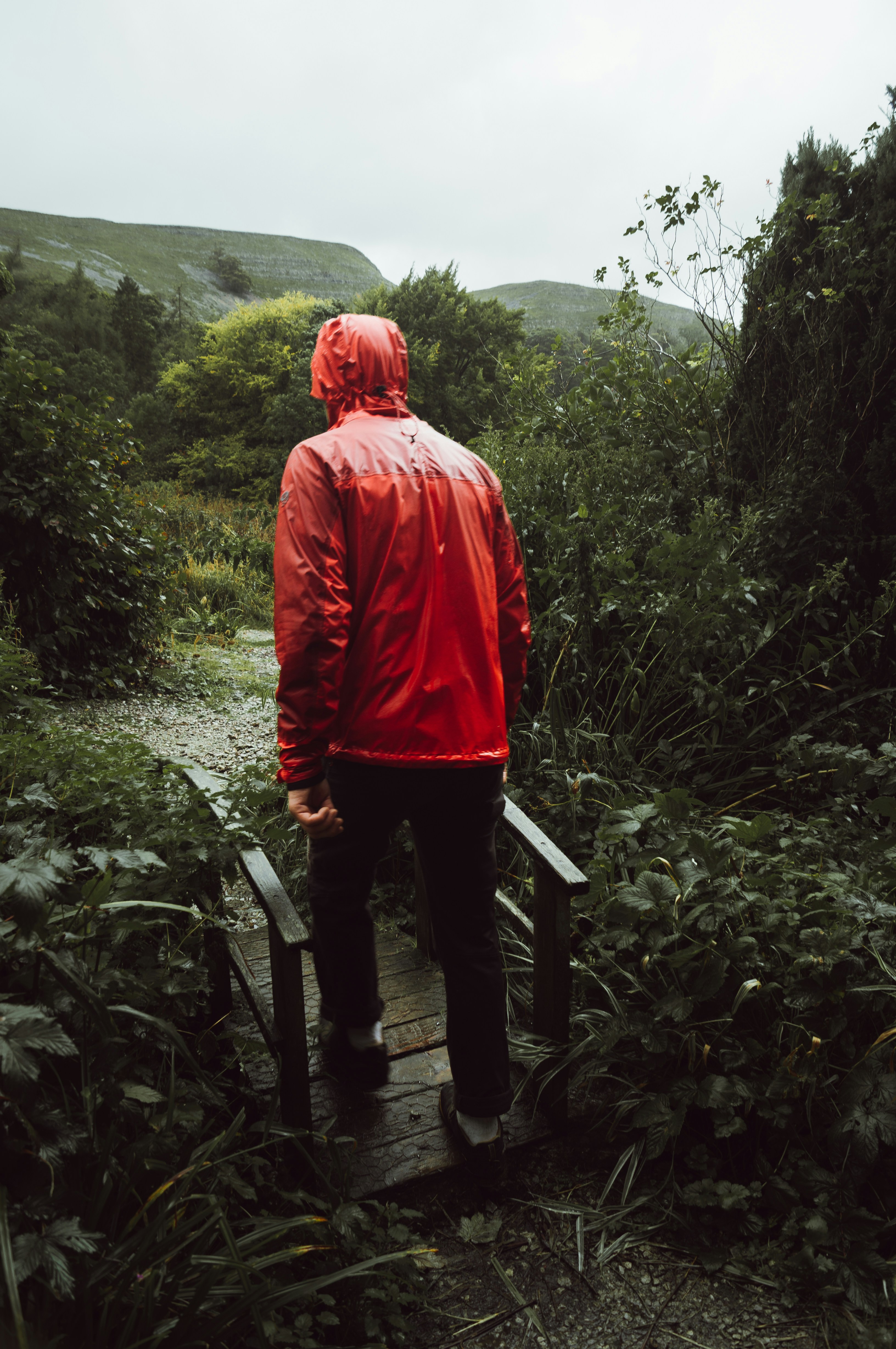 A man in a red jacket walking up a wooden walkway photo – Free Uk Image ...