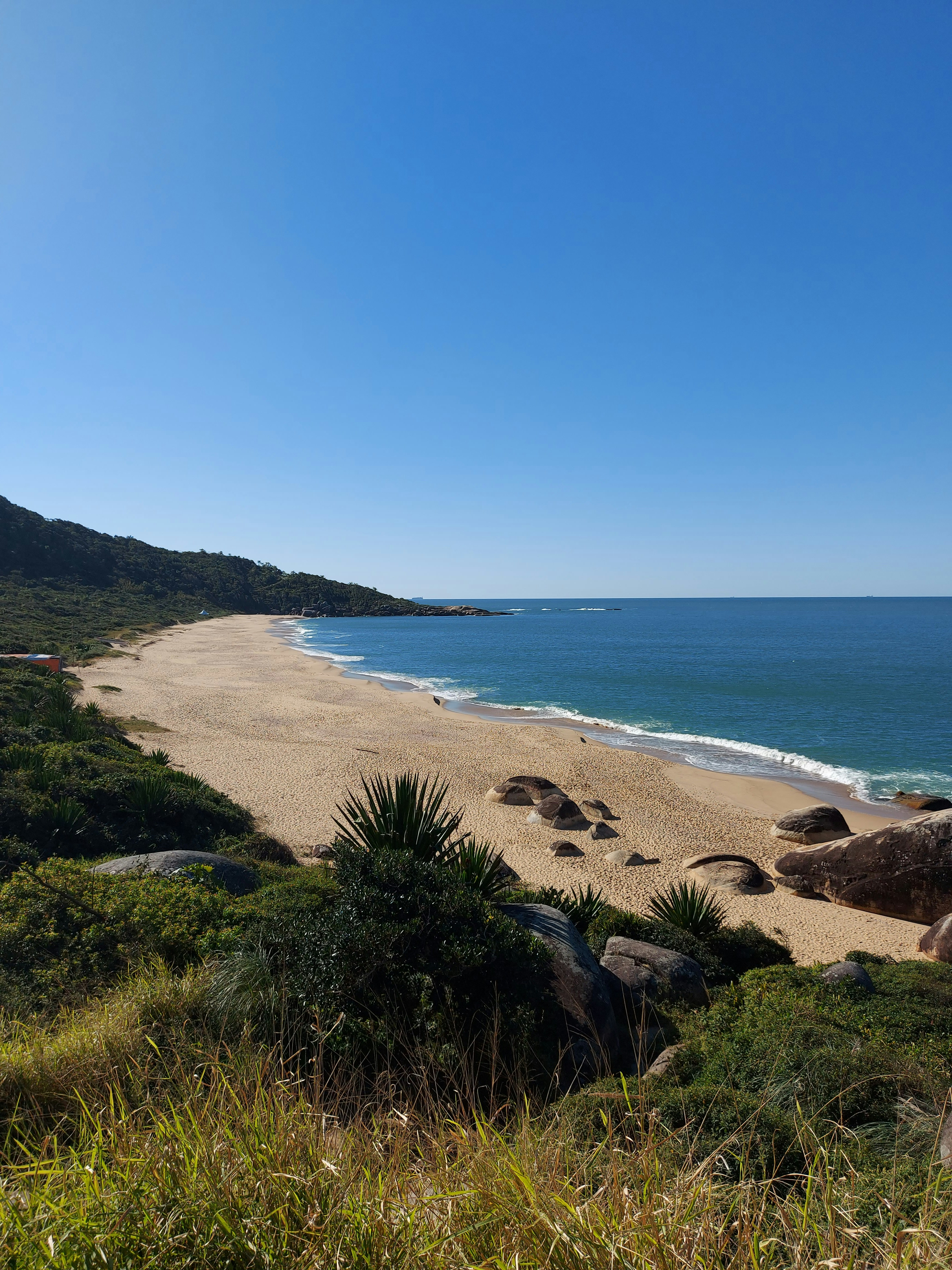 Expansive sandy beach bordered by lush greenery and rocky formations under a clear blue sky.