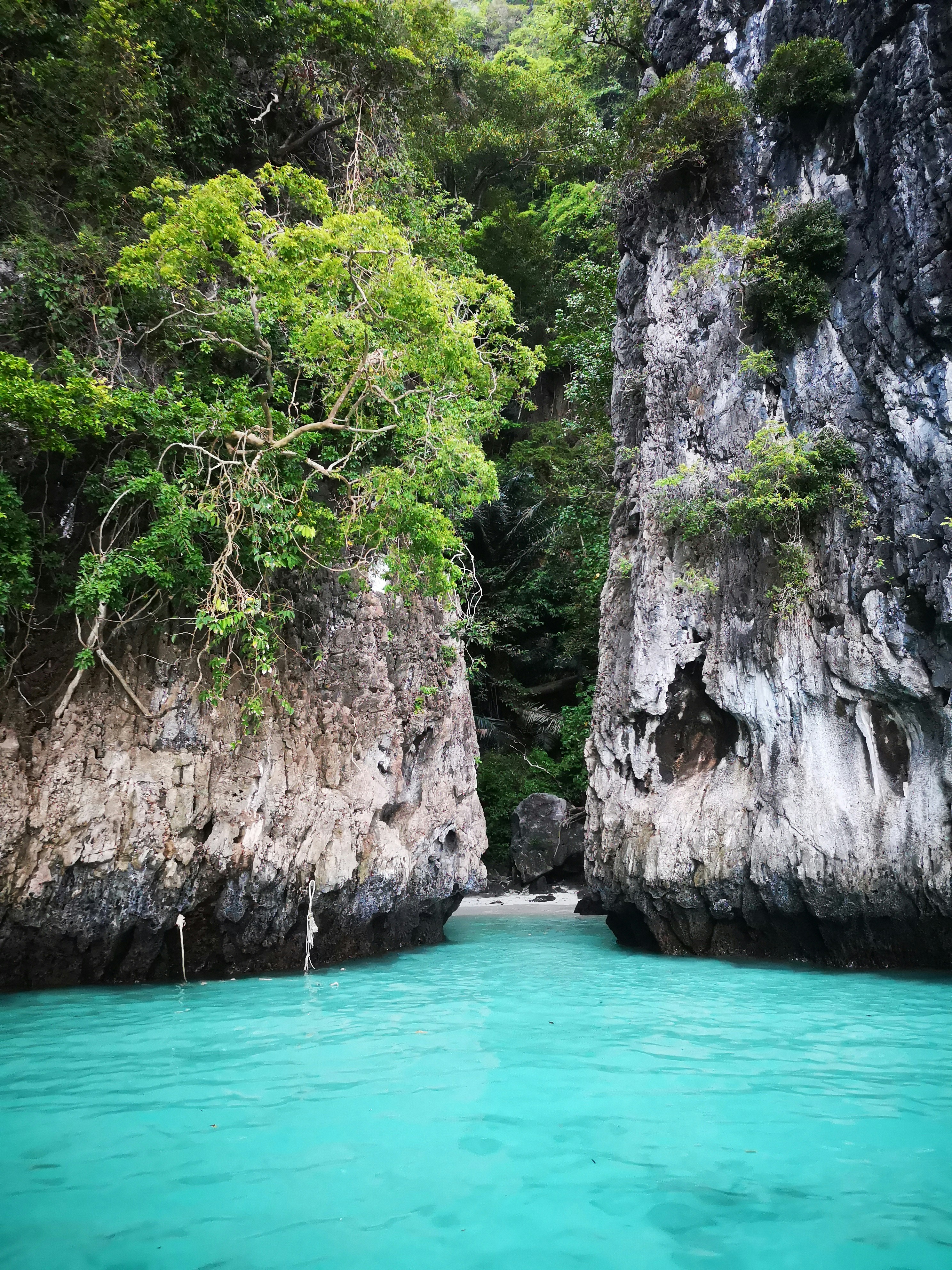 Lush greenery frames a serene turquoise lagoon, flanked by towering limestone cliffs, inviting exploration and tranquility.