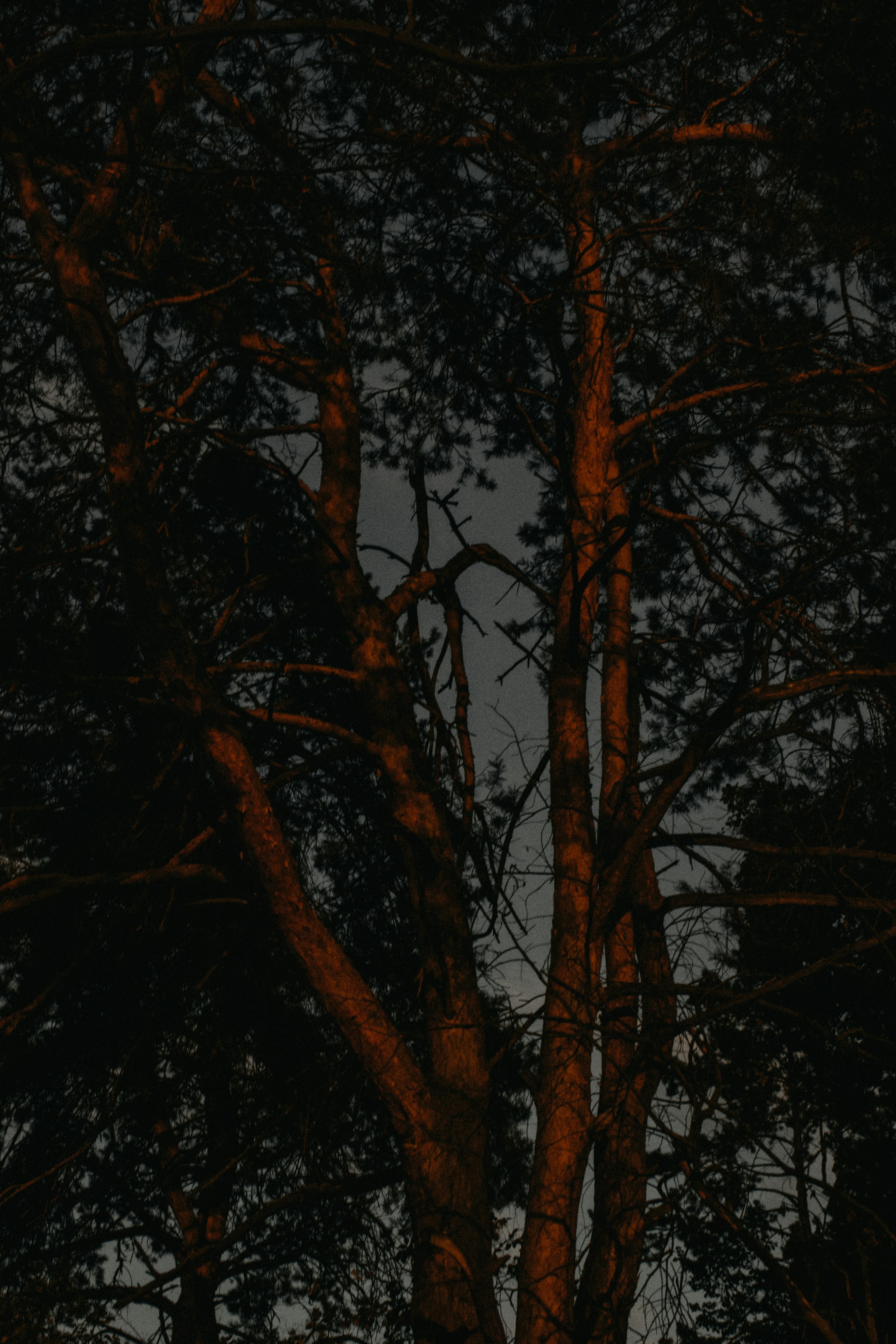 Photo by Ann Danilina with Canon EOS 600D