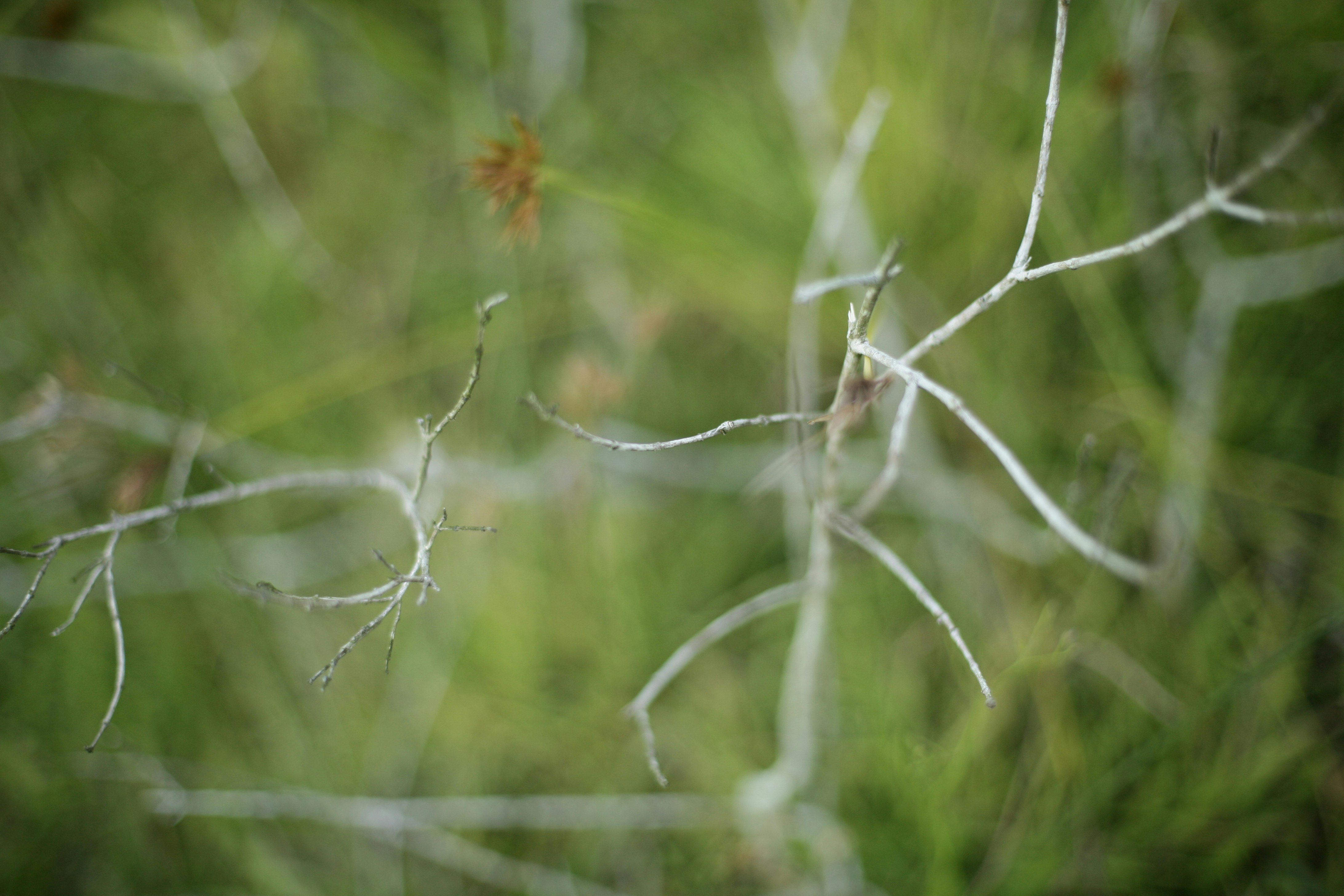 Photo by MChe Lee with CANON EOS 5D