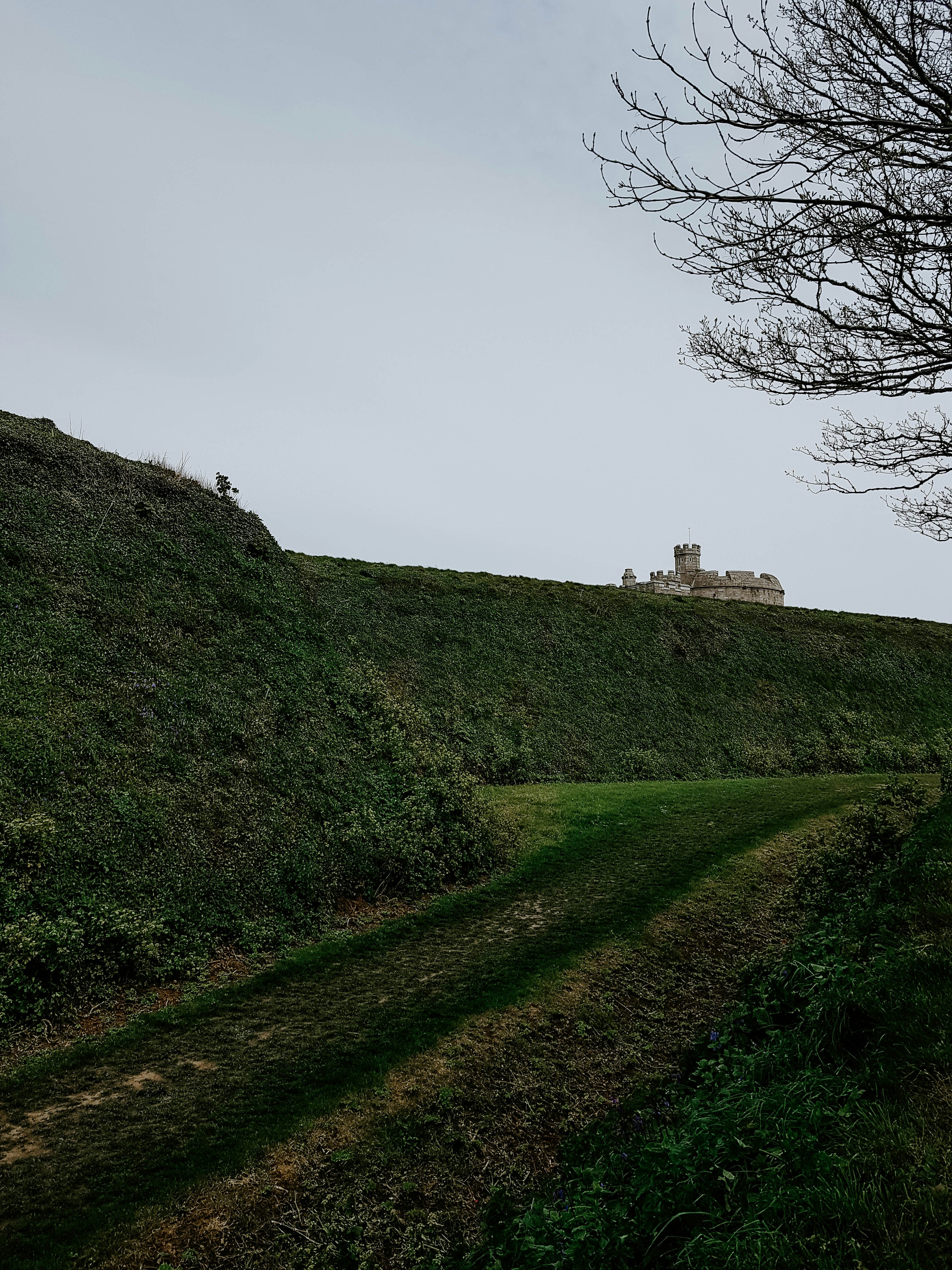 A winding dirt path leads towards an ancient castle perched on a hill, framed by lush greenery and bare branches. The scene evokes a sense of mystery and exploration.