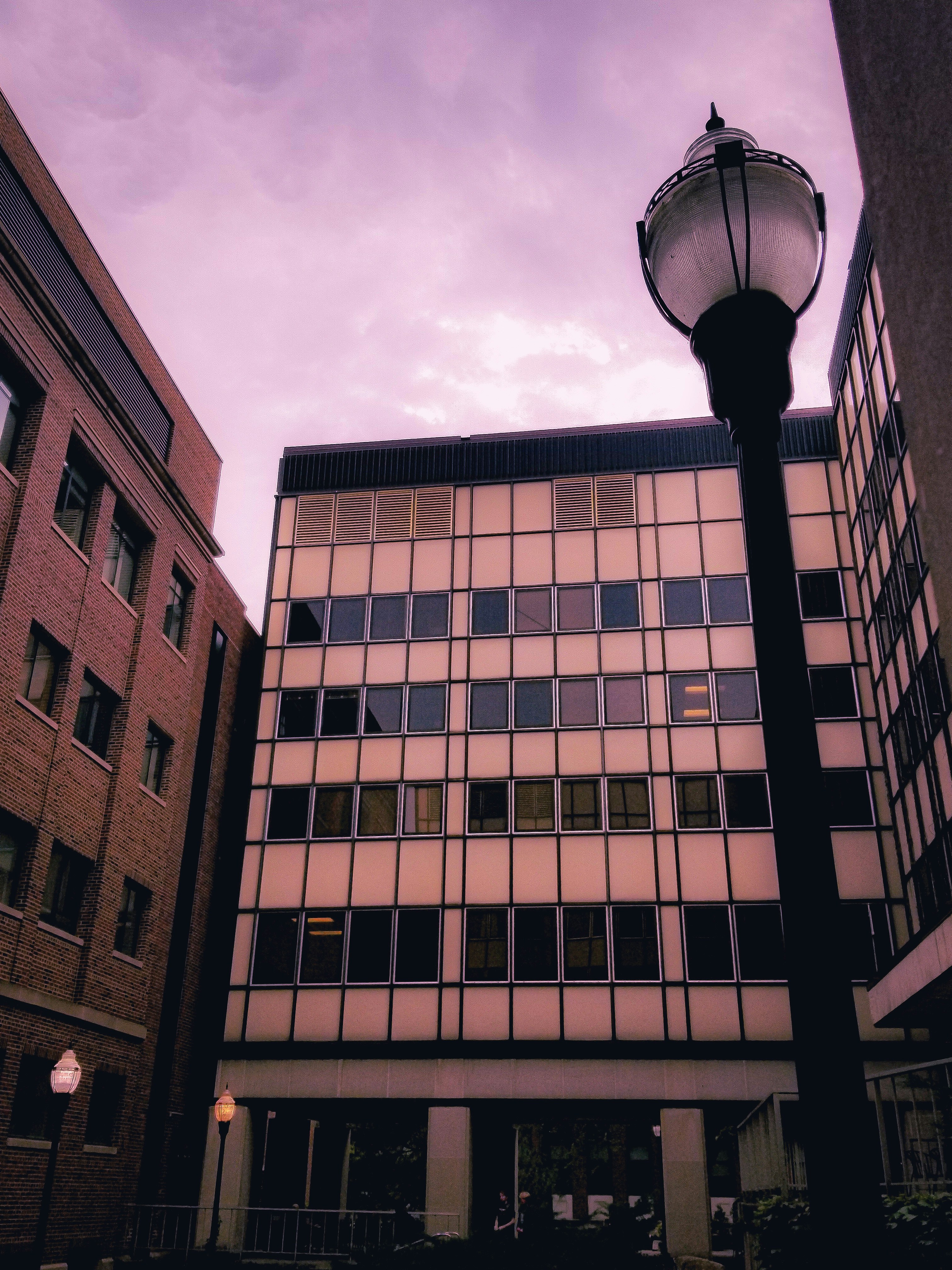 Steven Vang (@fruitymango) | Komunitas Foto Unsplash