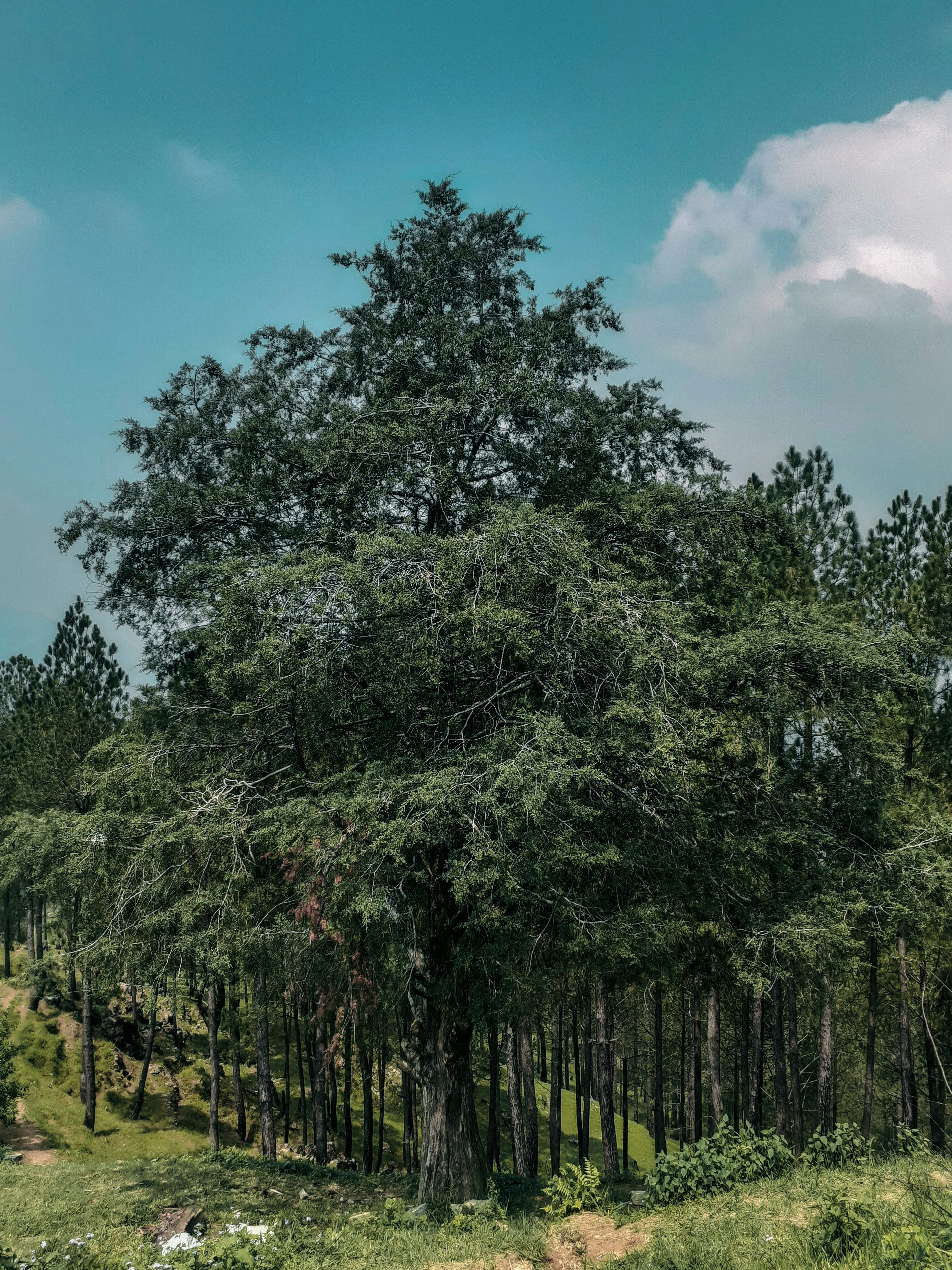 Imágenes de Kapkot | Descarga imágenes gratuitas en Unsplash