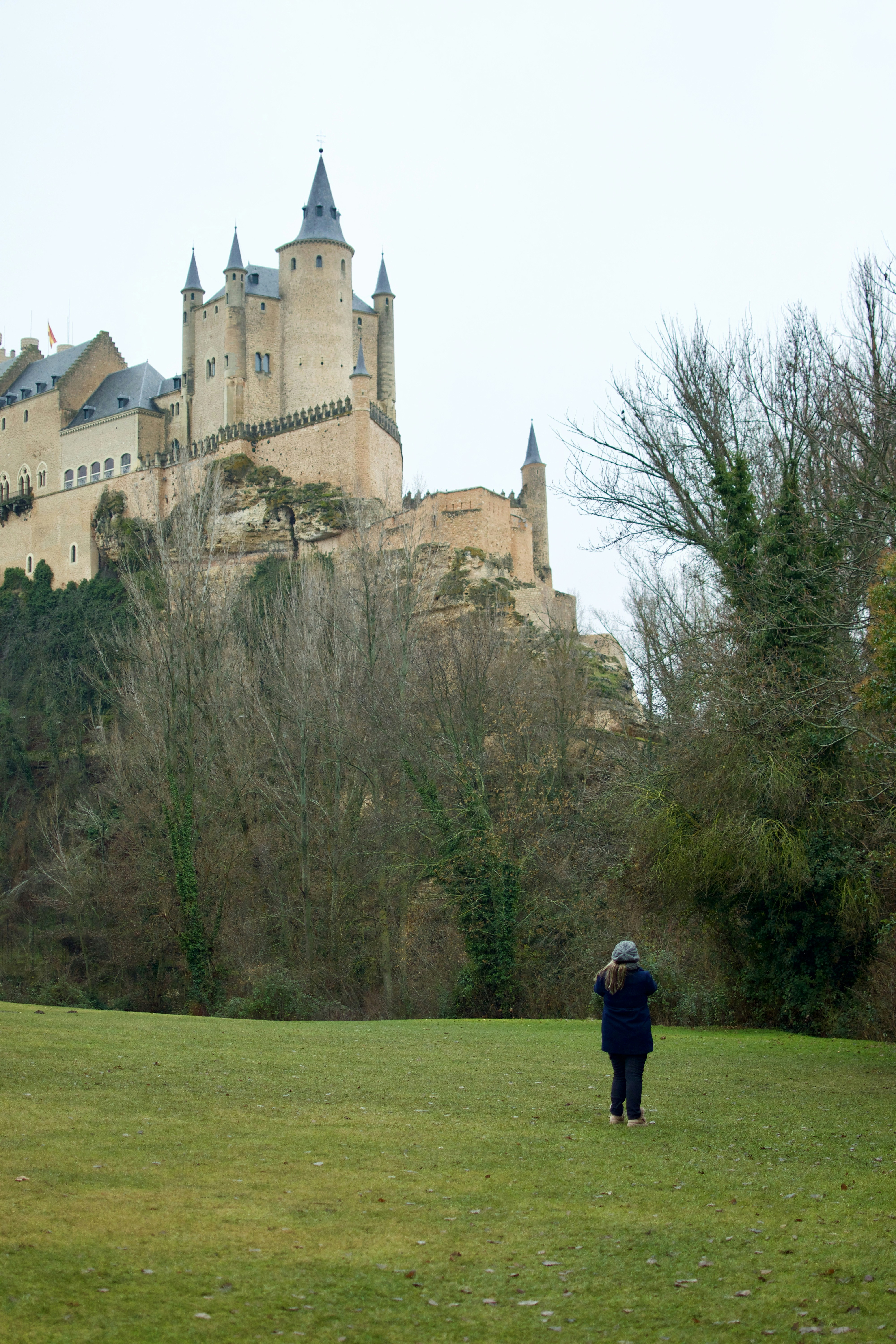 Person standing in a grassy field gazing up at a towering medieval castle surrounded by trees.