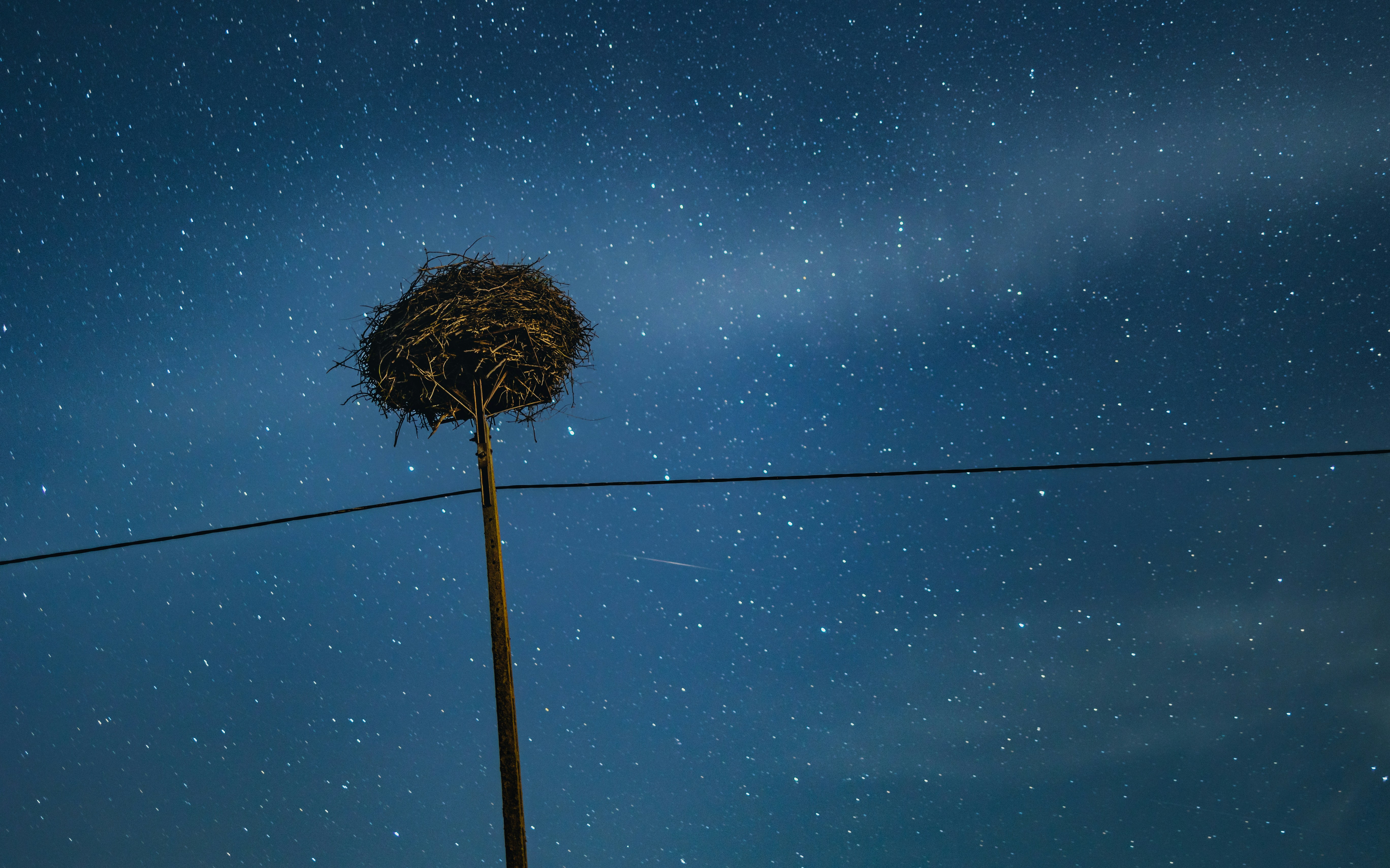 Nest on a Lone Pole Under a Sea of Stars