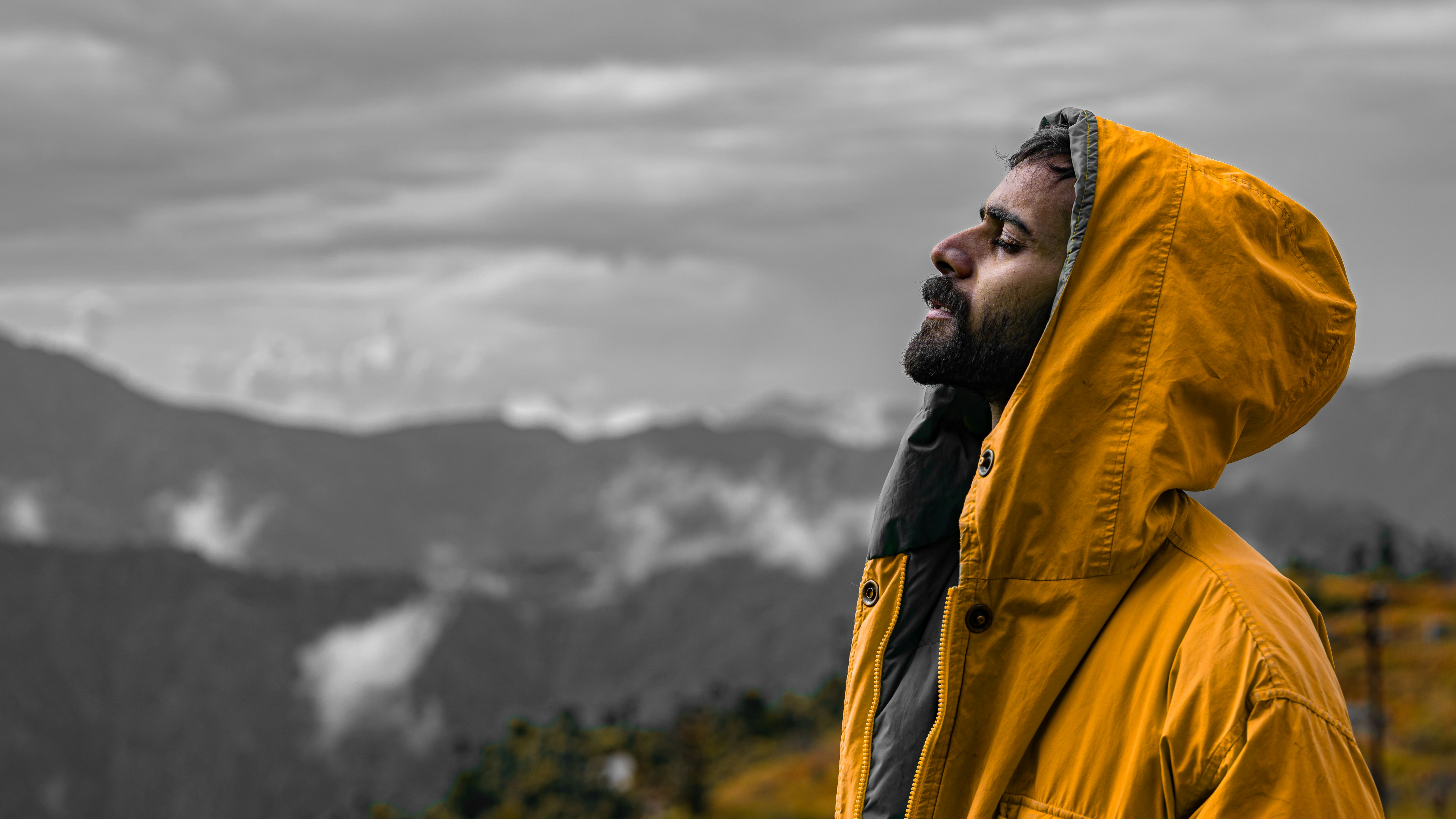 30k+ Alpha Male Pictures | Download Free Images on Unsplash