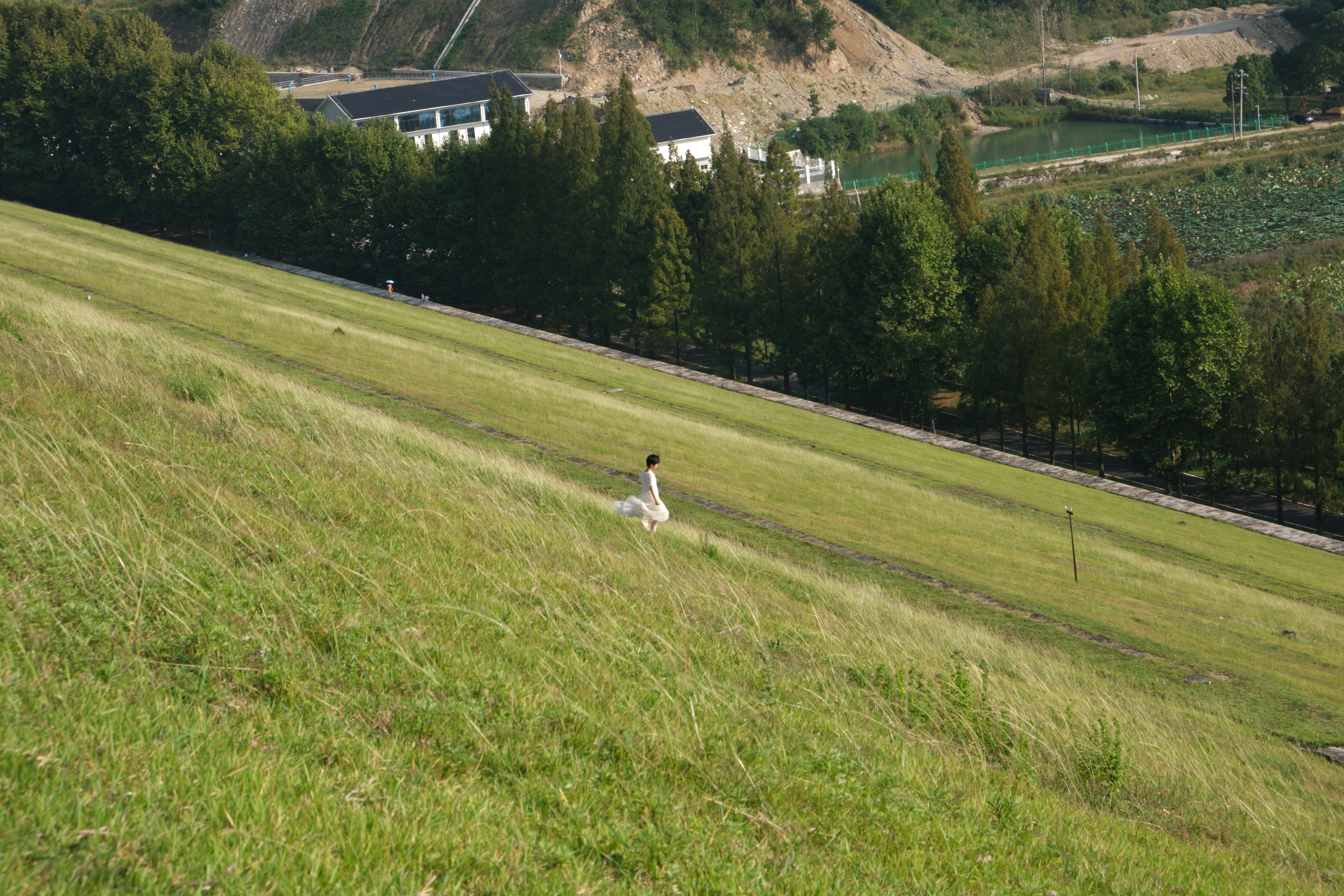 Solitary Figure on a Sunlit Slope: A Quiet Moment Among the Trees
