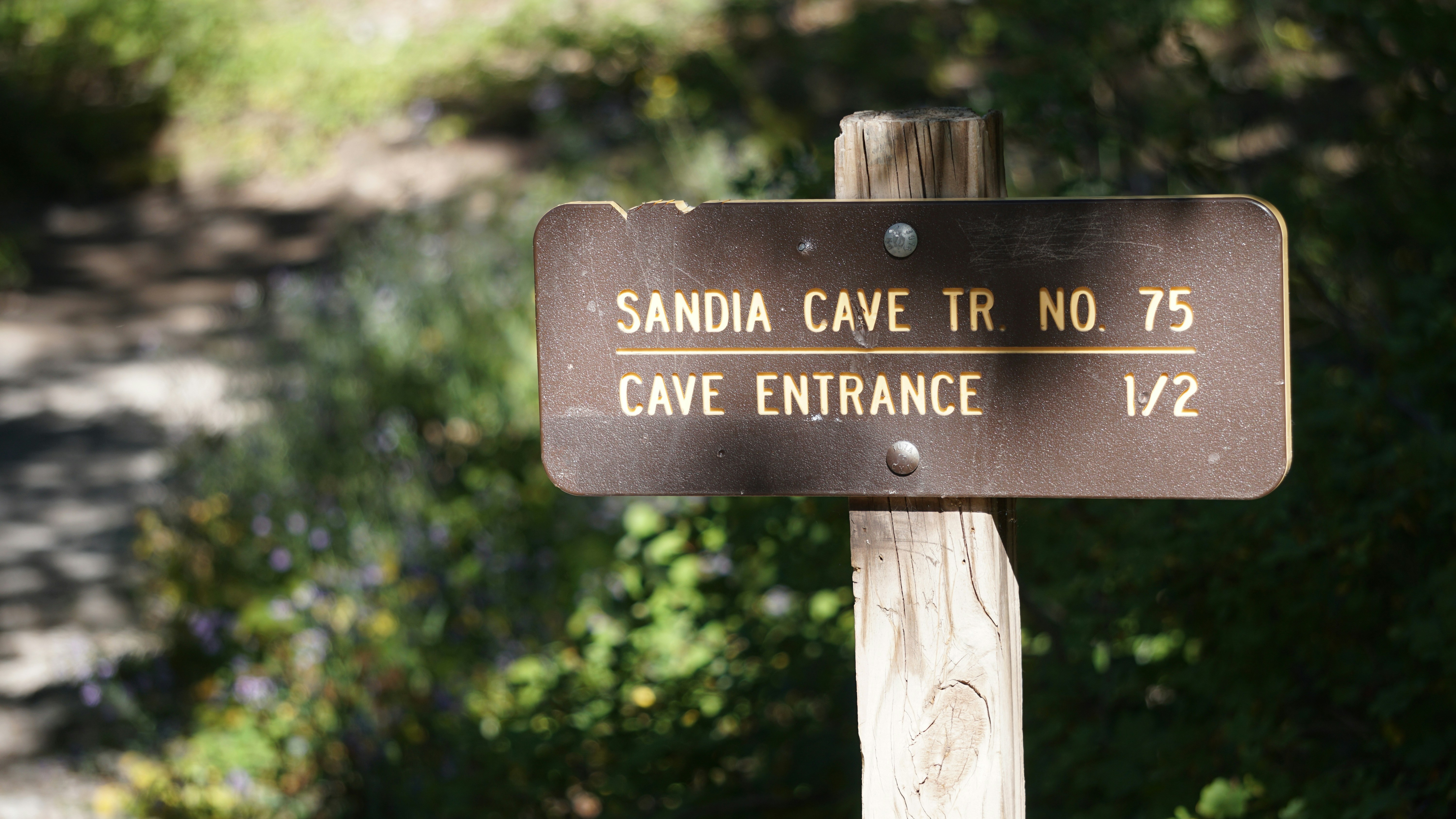 A wooden sign that says sandia cave trr no 75 cave entrance photo ...