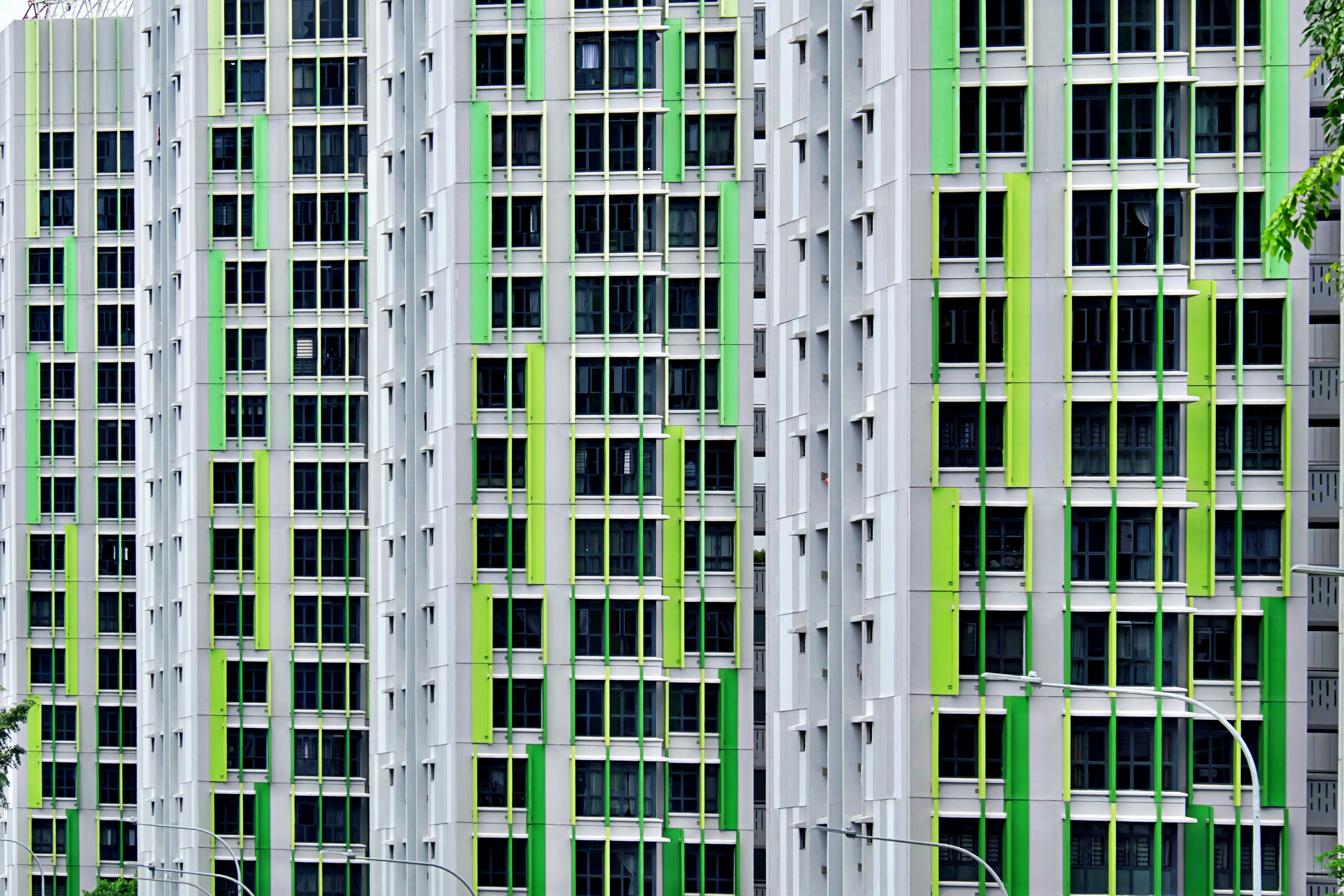 Emerald Grids: Vertical Lattices on a White Facade