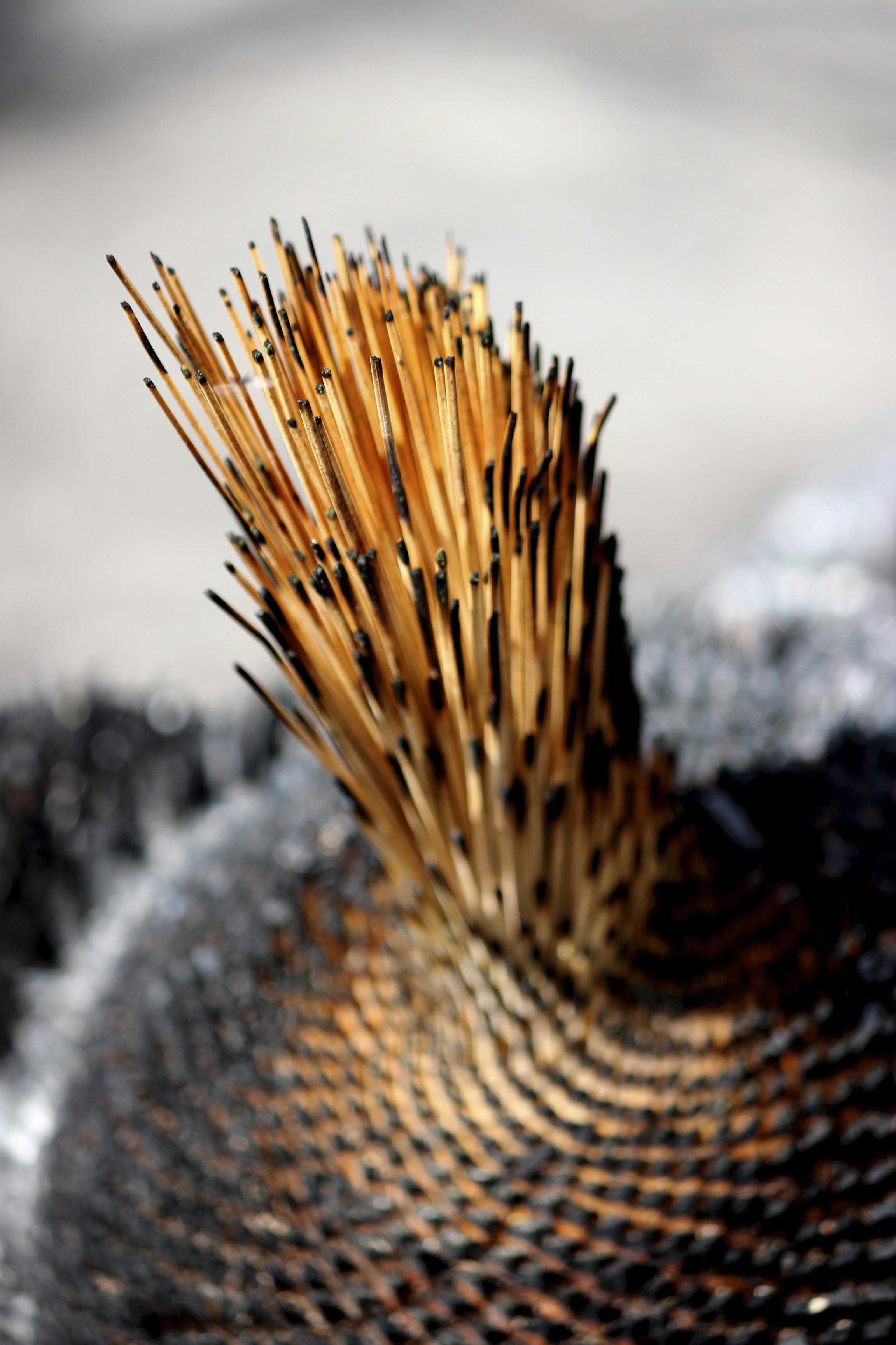 A close up of a metal object with a wooden stick sticking out of it ...