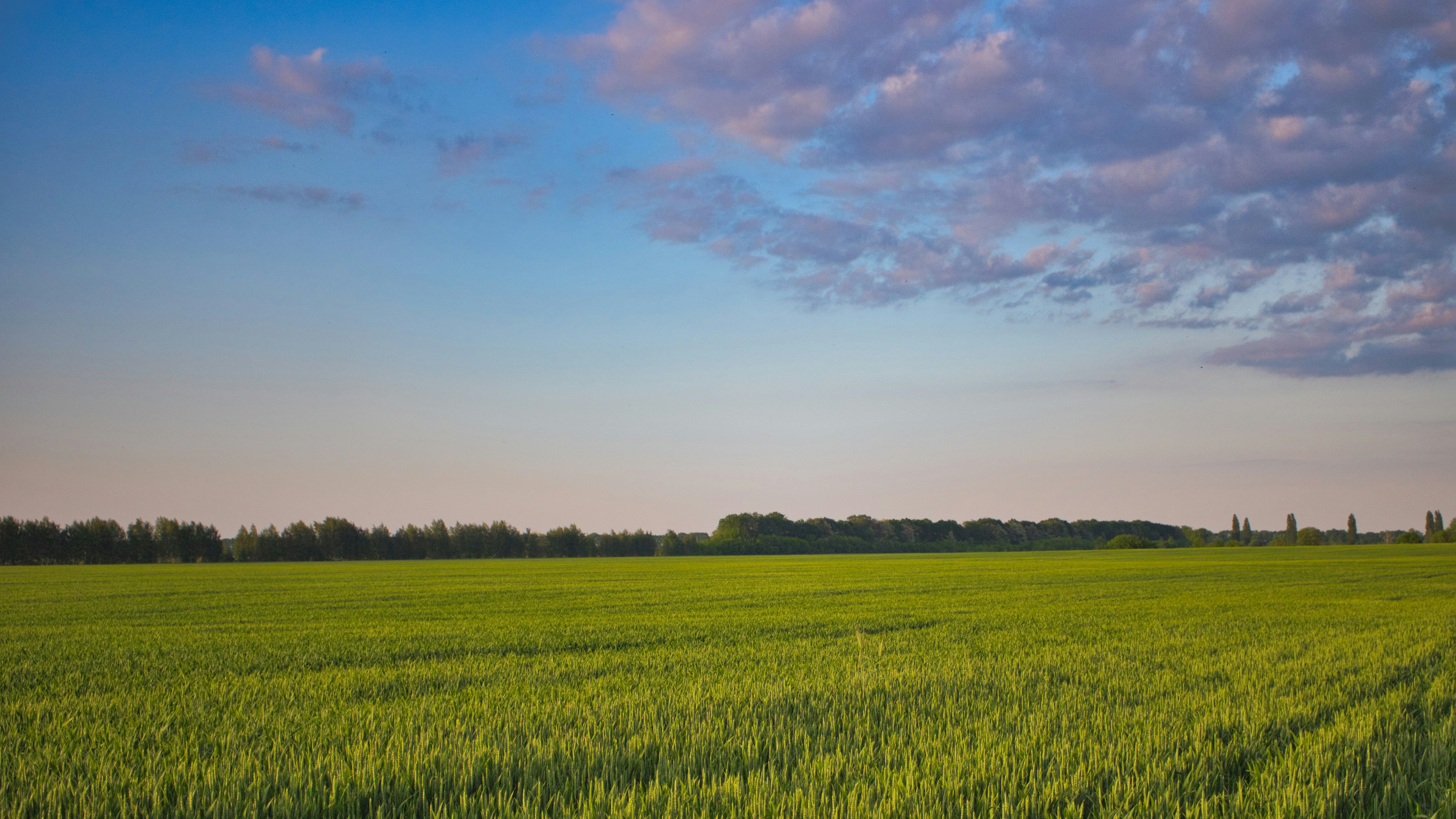 Sample photo from Canon EOS M10