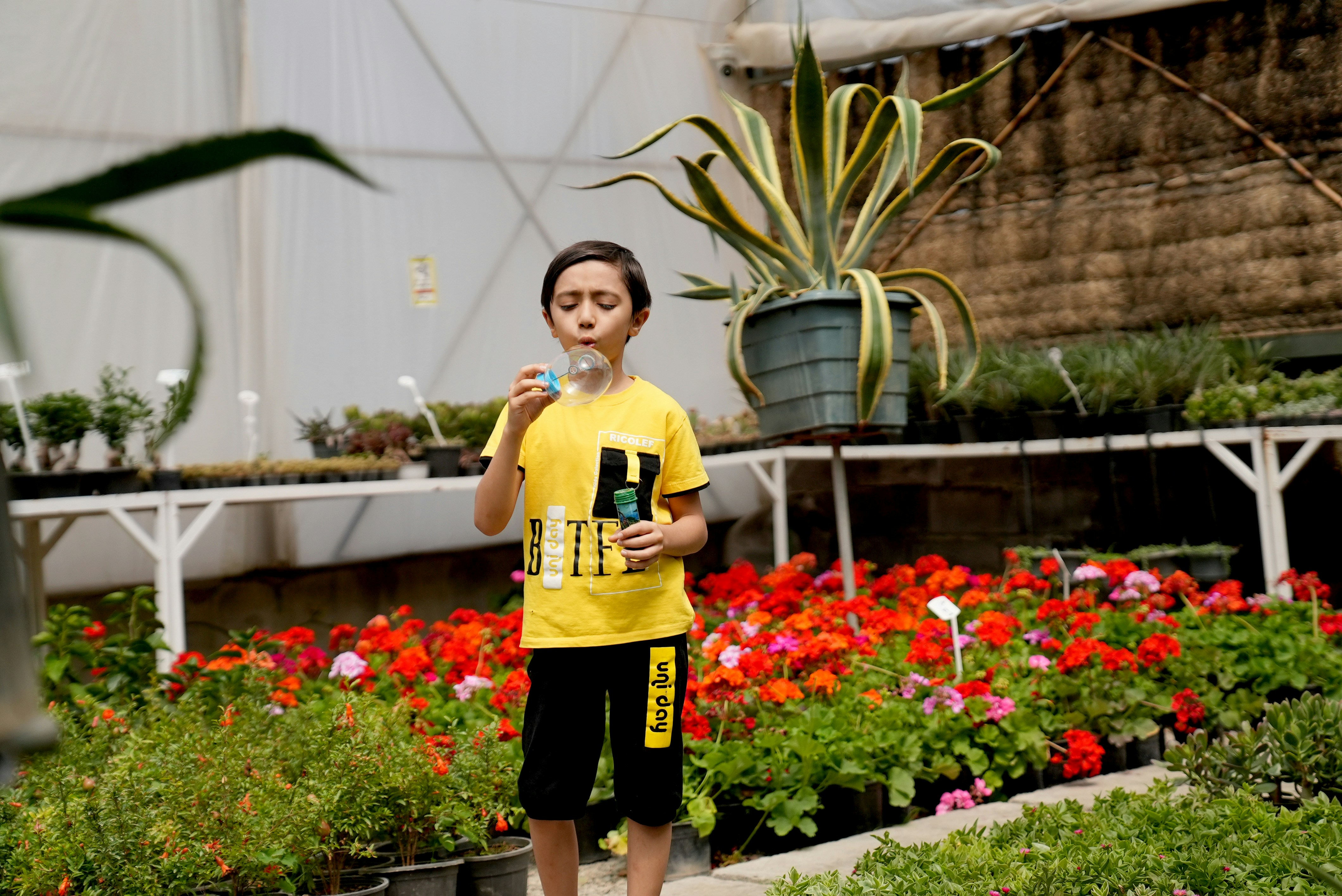 Candy Shop in Bloom: A Boy Enjoys a Sweet Moment Amid Colorful Petals