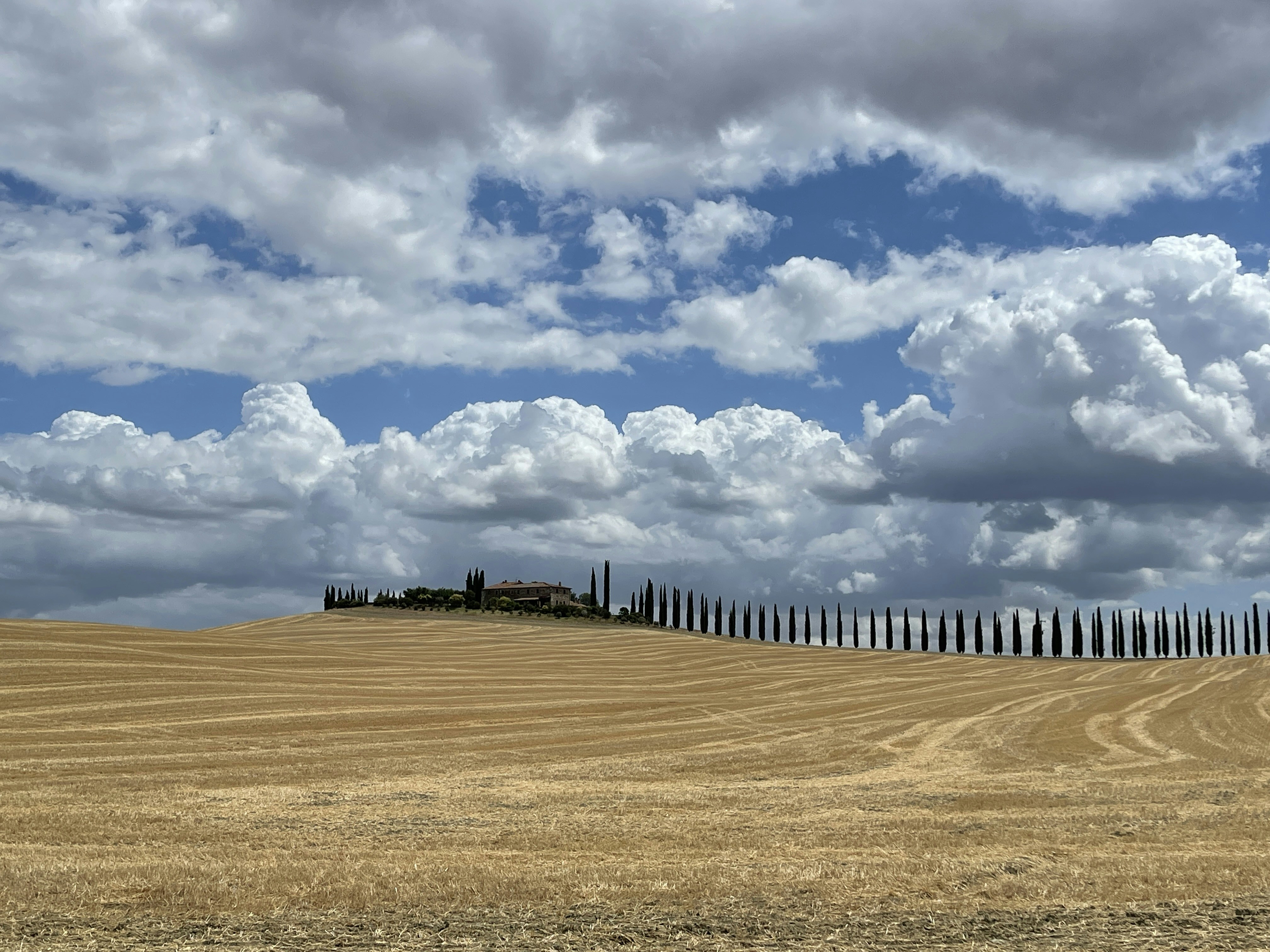 Hilltop Villa with Cypress Row Under a Dramatic Sky