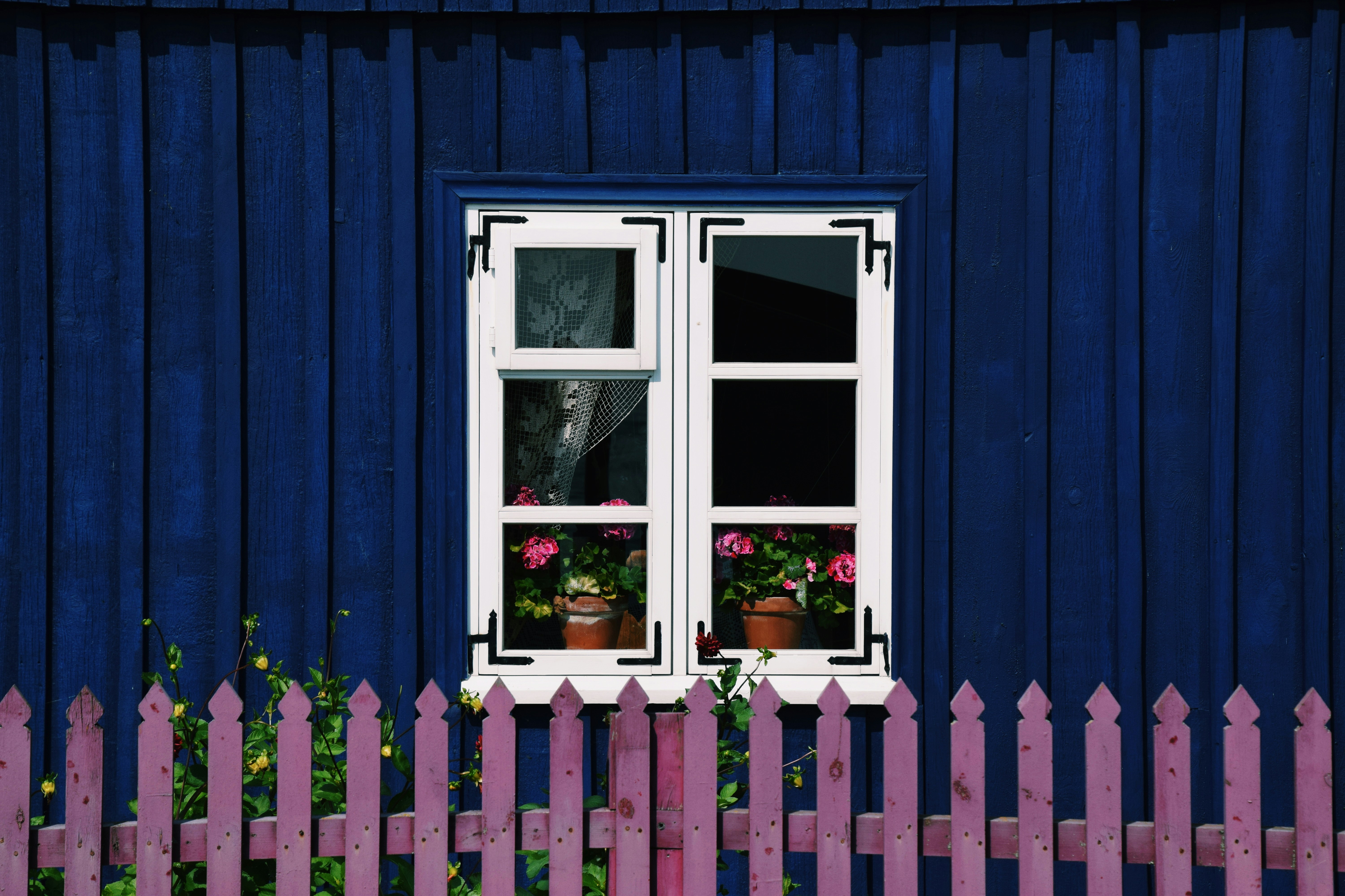 Nida Pictures | Download Free Images on Unsplash