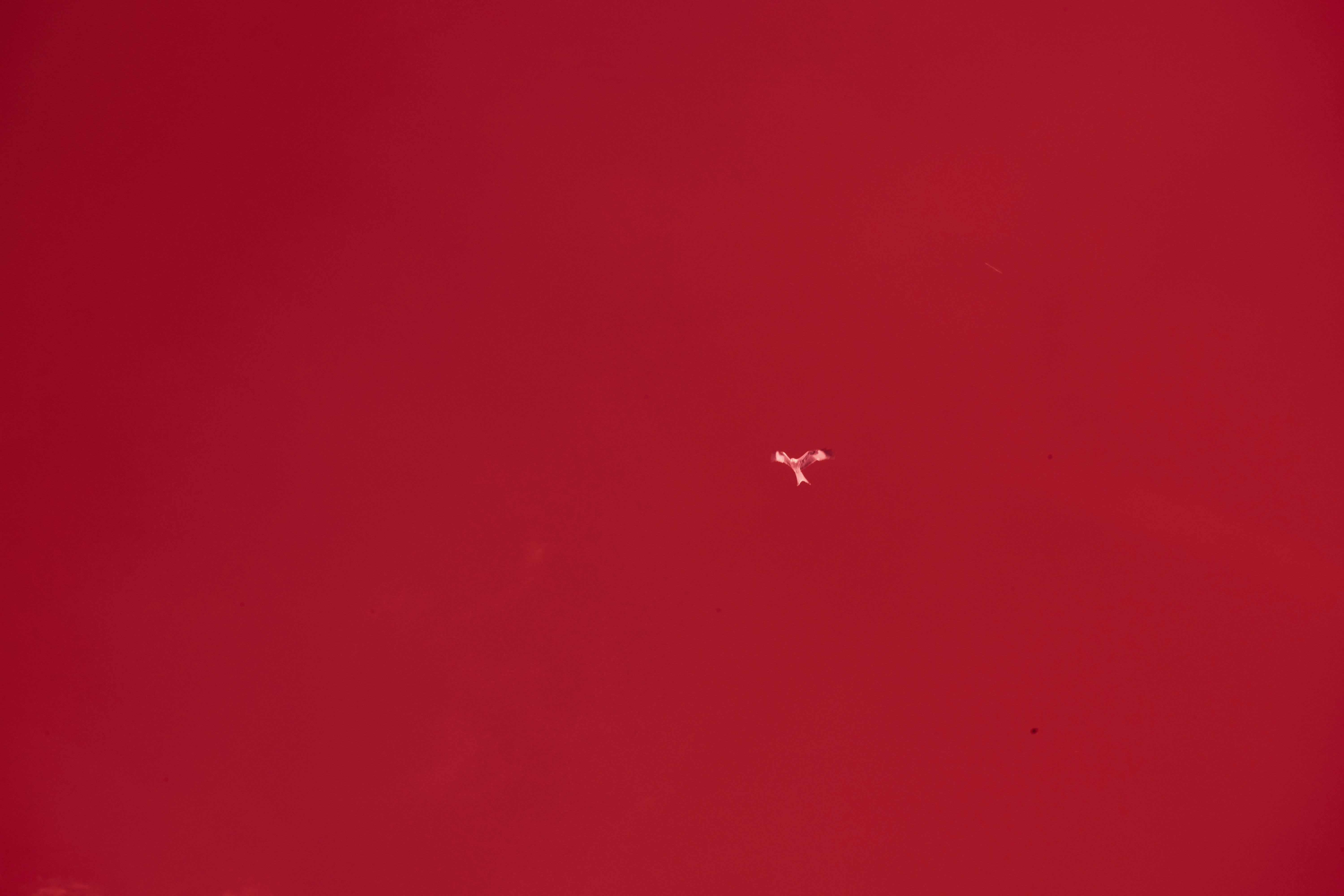 An airplane is flying in a red sky photo – Free Infrared Image on Unsplash