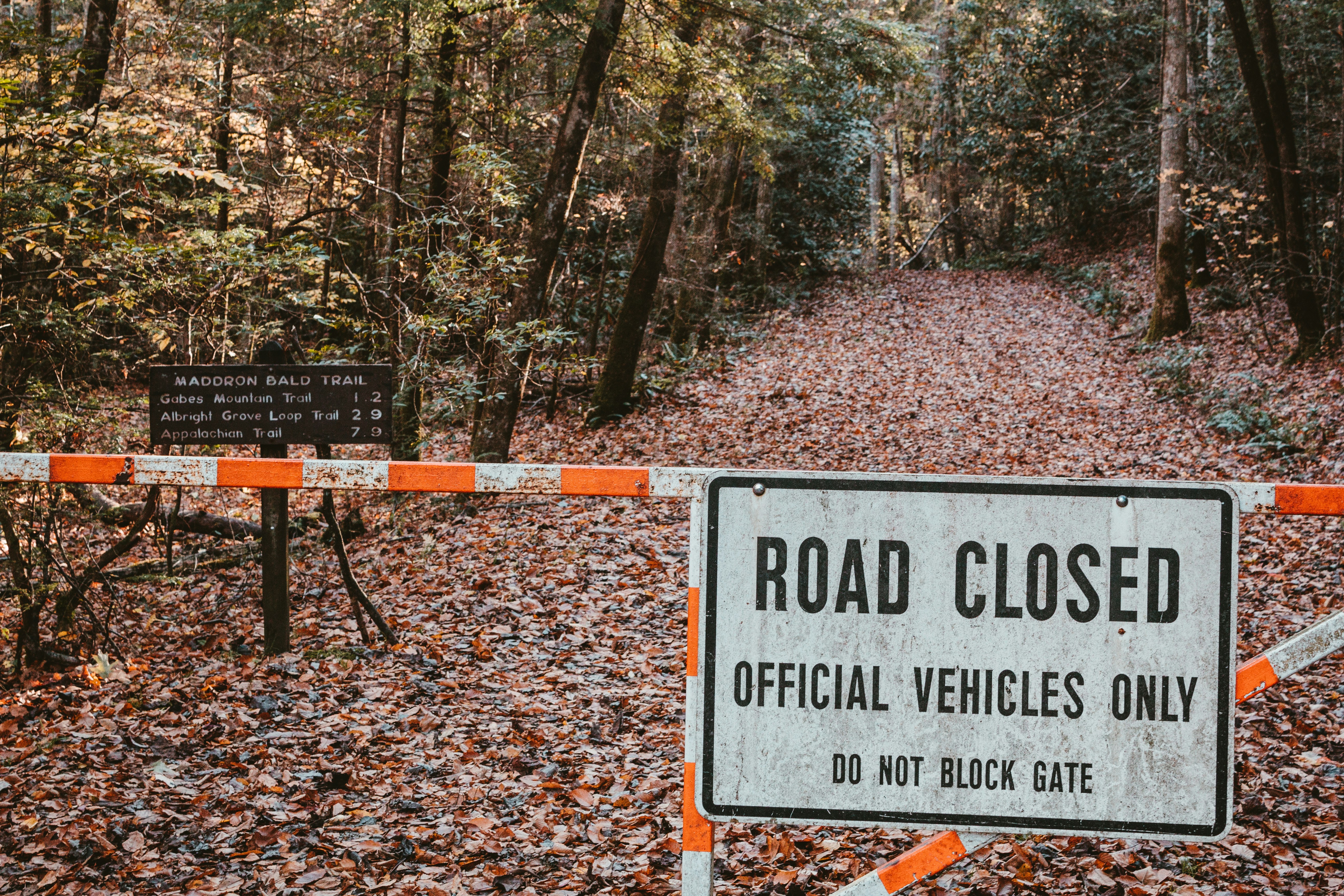 Autumn Forest Gate: A Closed Road Amid Fallen Leaves