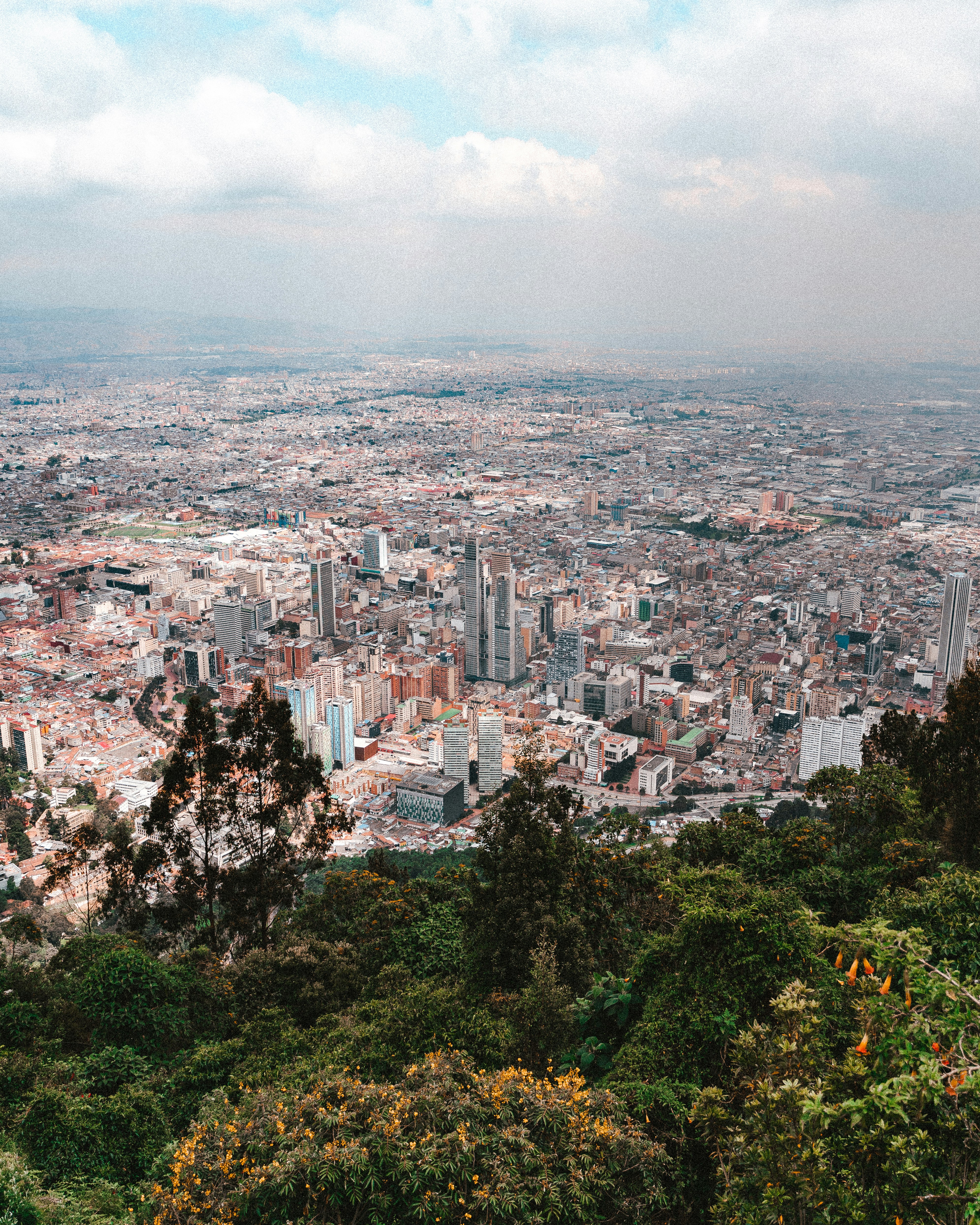 A panoramic view of a sprawling cityscape from a high vantage point, showcasing a mix of urban architecture and lush greenery in the foreground.