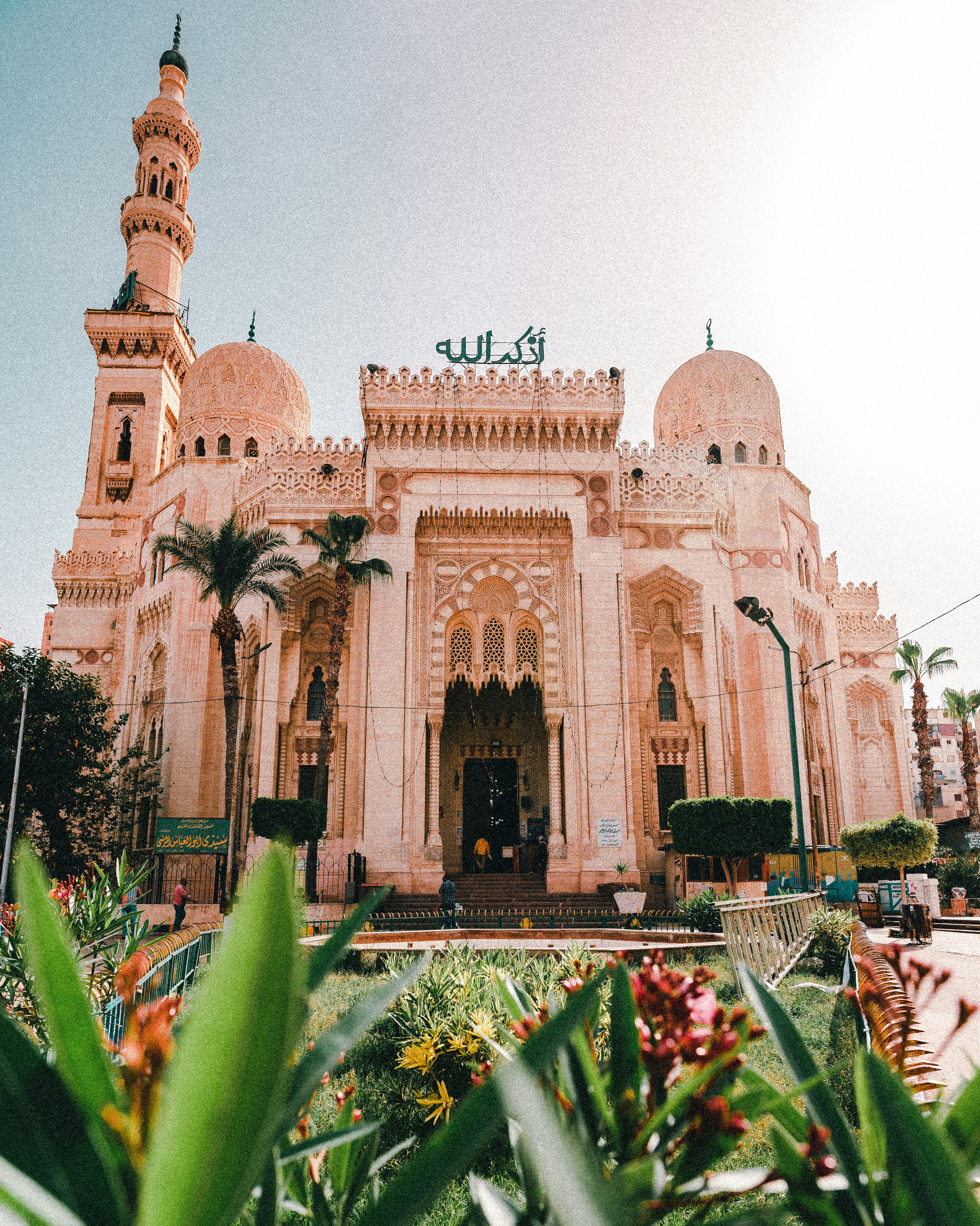 Mosque in Alexandria, Egypt | a pink building with a green sign on top of it