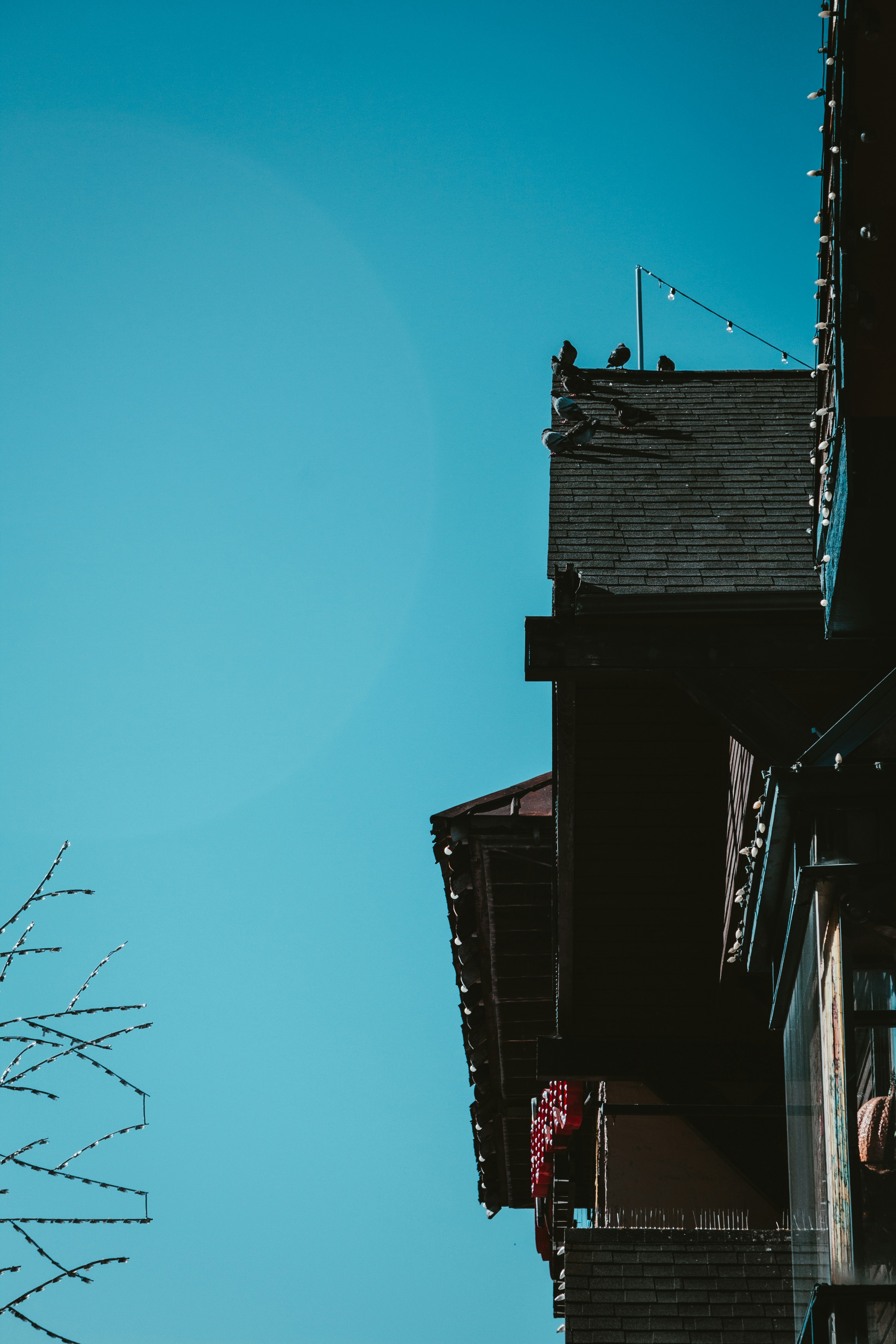 Silhouetted rooftops framed against a vibrant blue sky, highlighting architectural details and the tranquility of the scene.