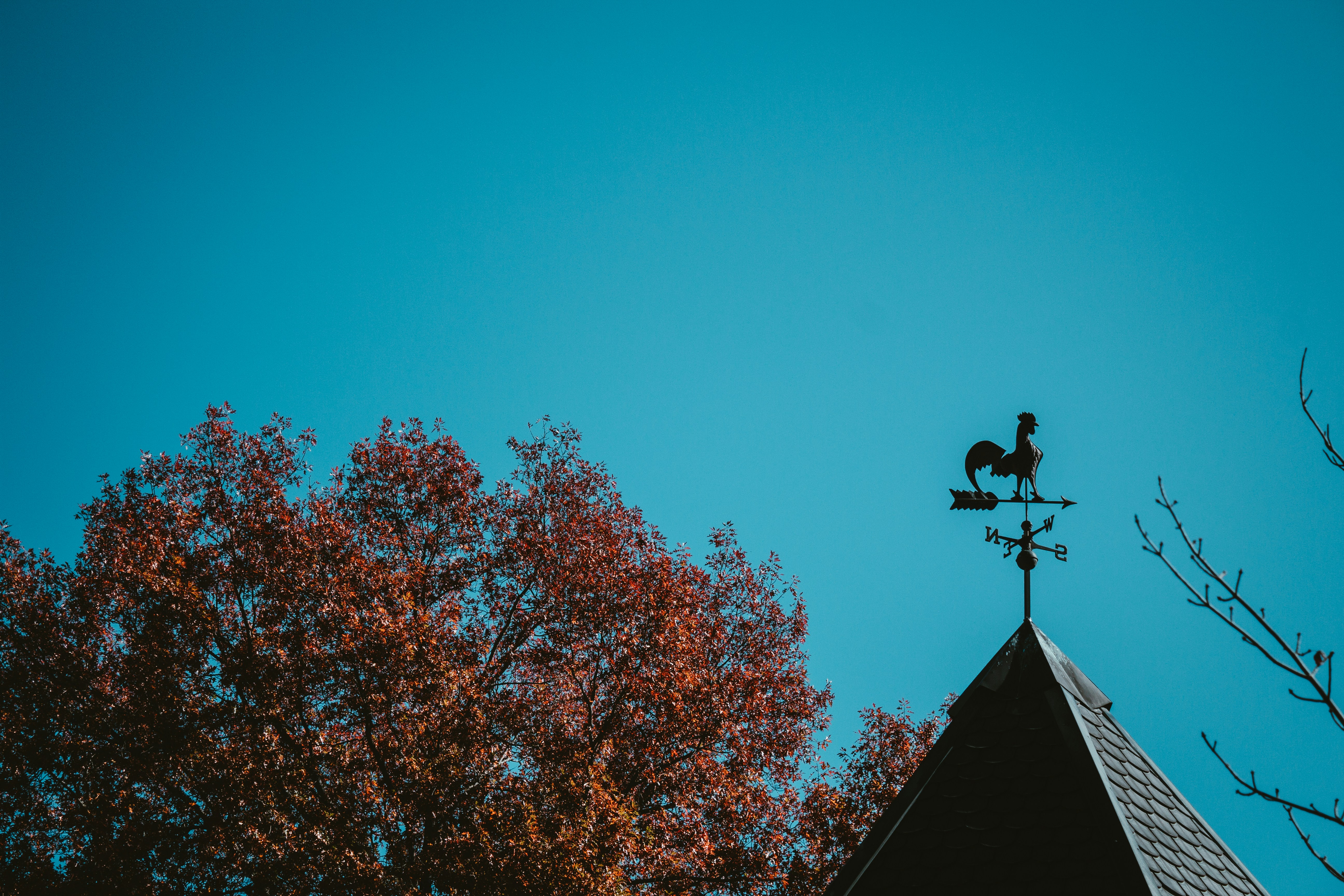 Weather Vane Pictures | Download Free Images on Unsplash