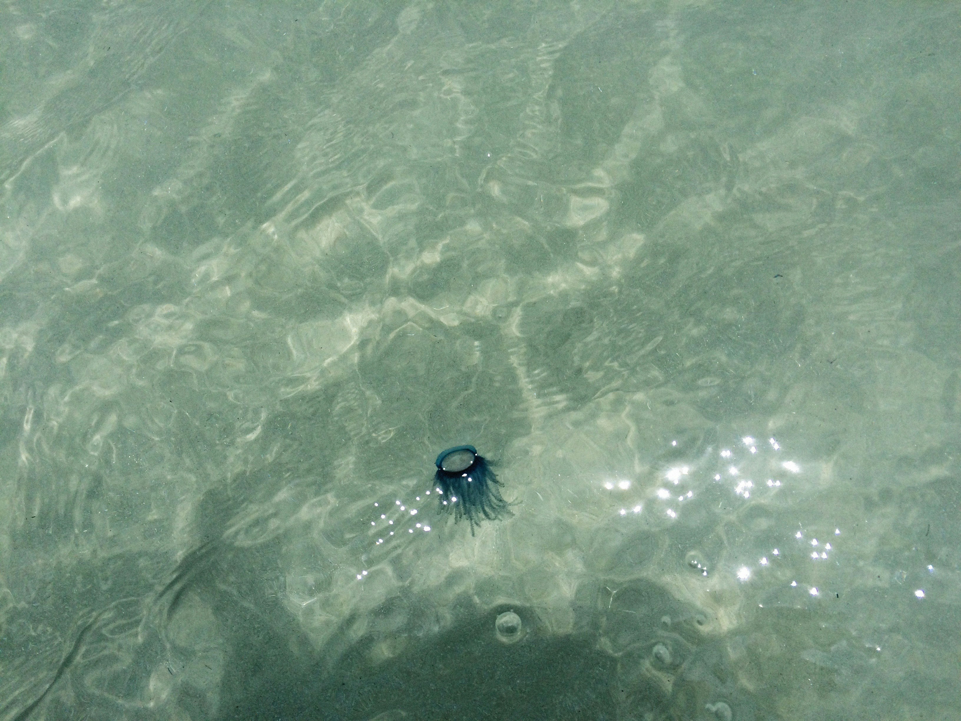 Un objet noir flottant au-dessus d’un plan d’eau photo – Photo Grigio ...