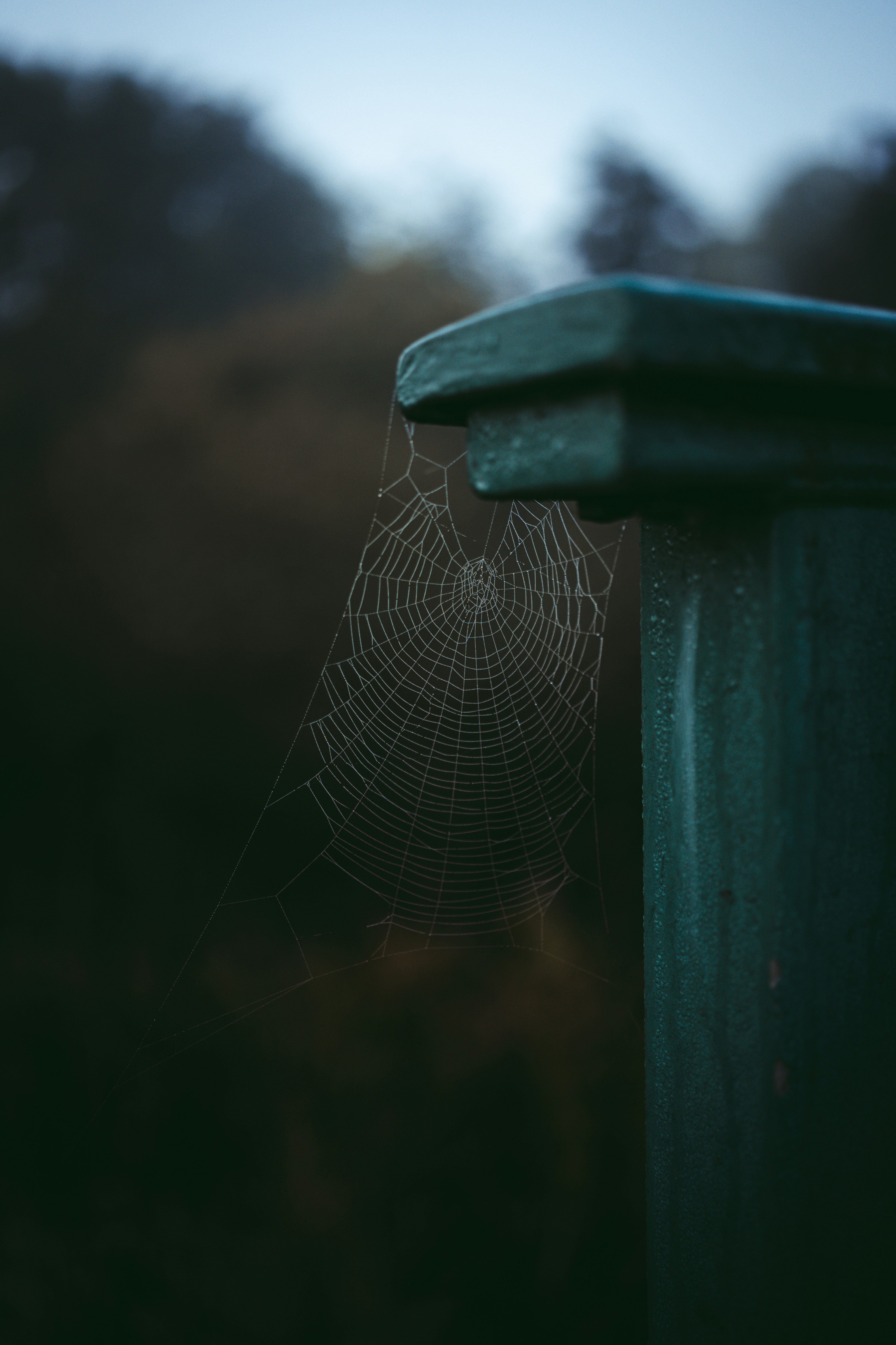 Dew-Kissed Spider Web Draped Across a Weathered Green Railing