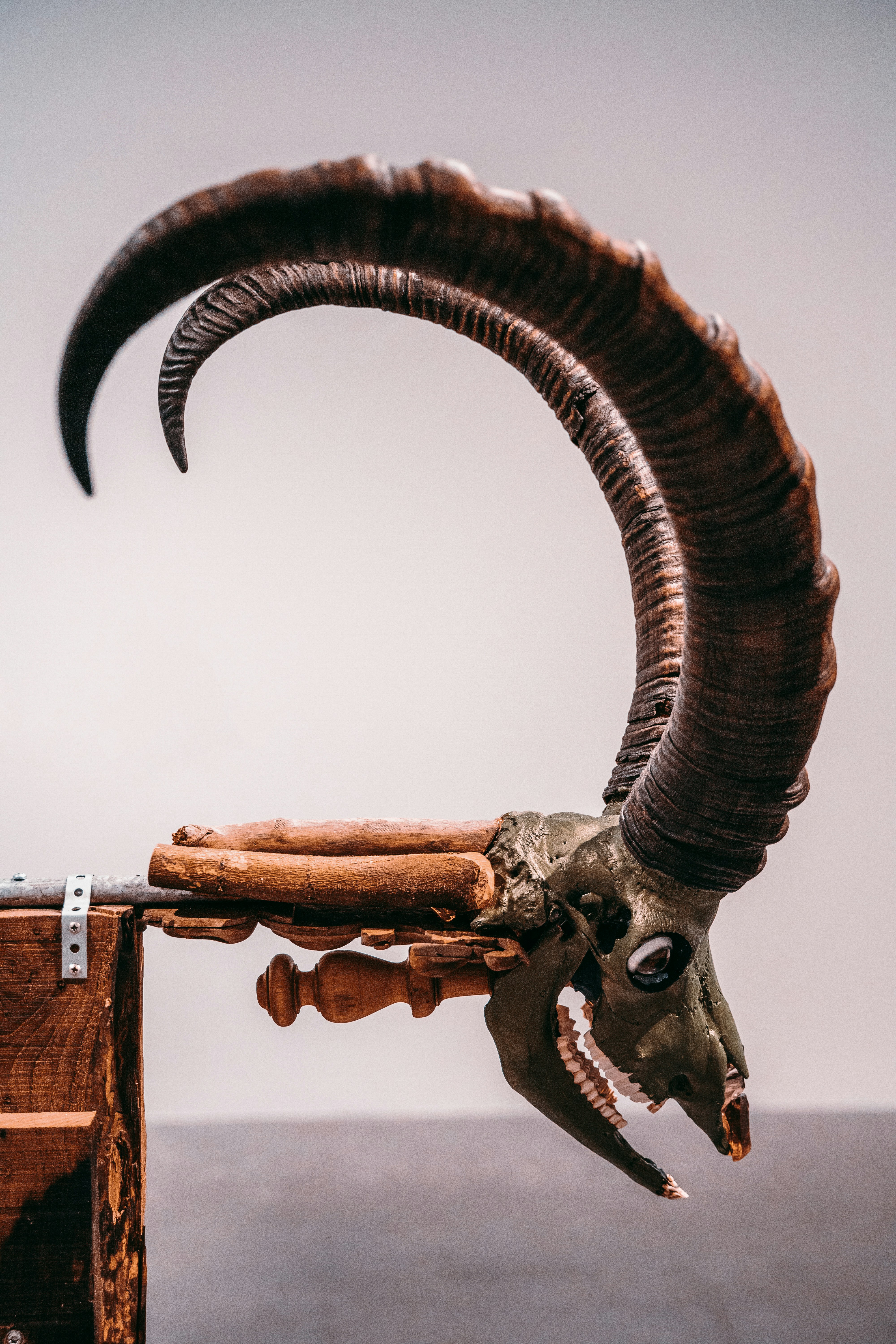 Arch of the Ram: A Rustic Study in Texture