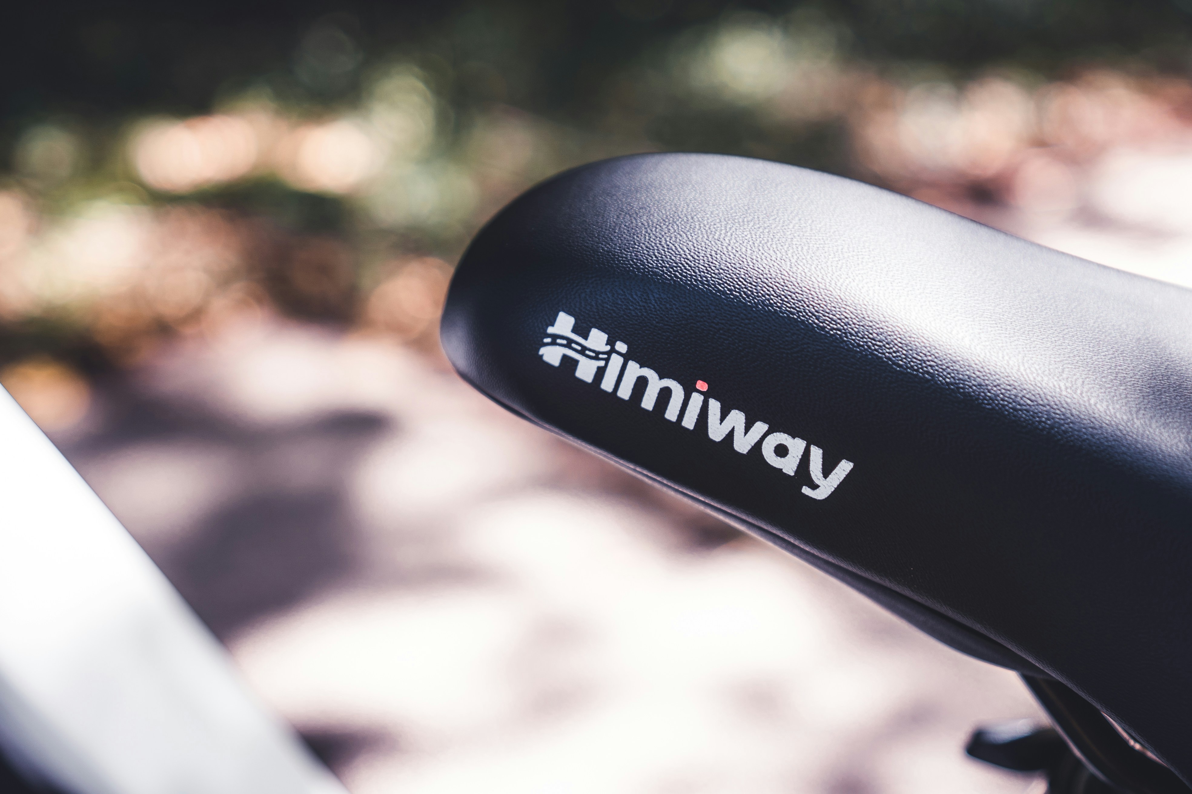Saddle and Shadow: A Close-up of the Miway Saddle in Soft Sunlight