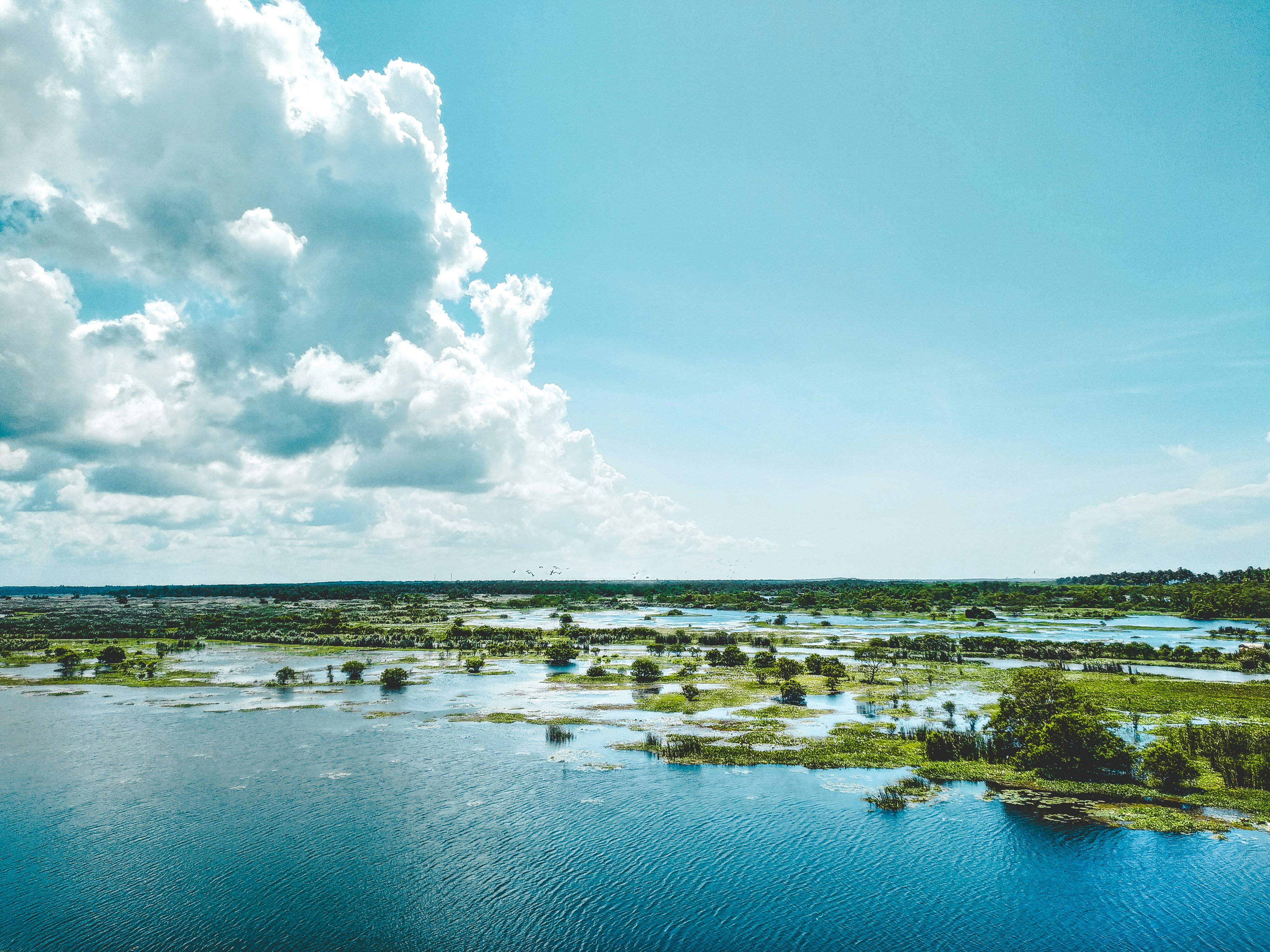 A body of water surrounded by land and trees photo – Free Blue Image on ...