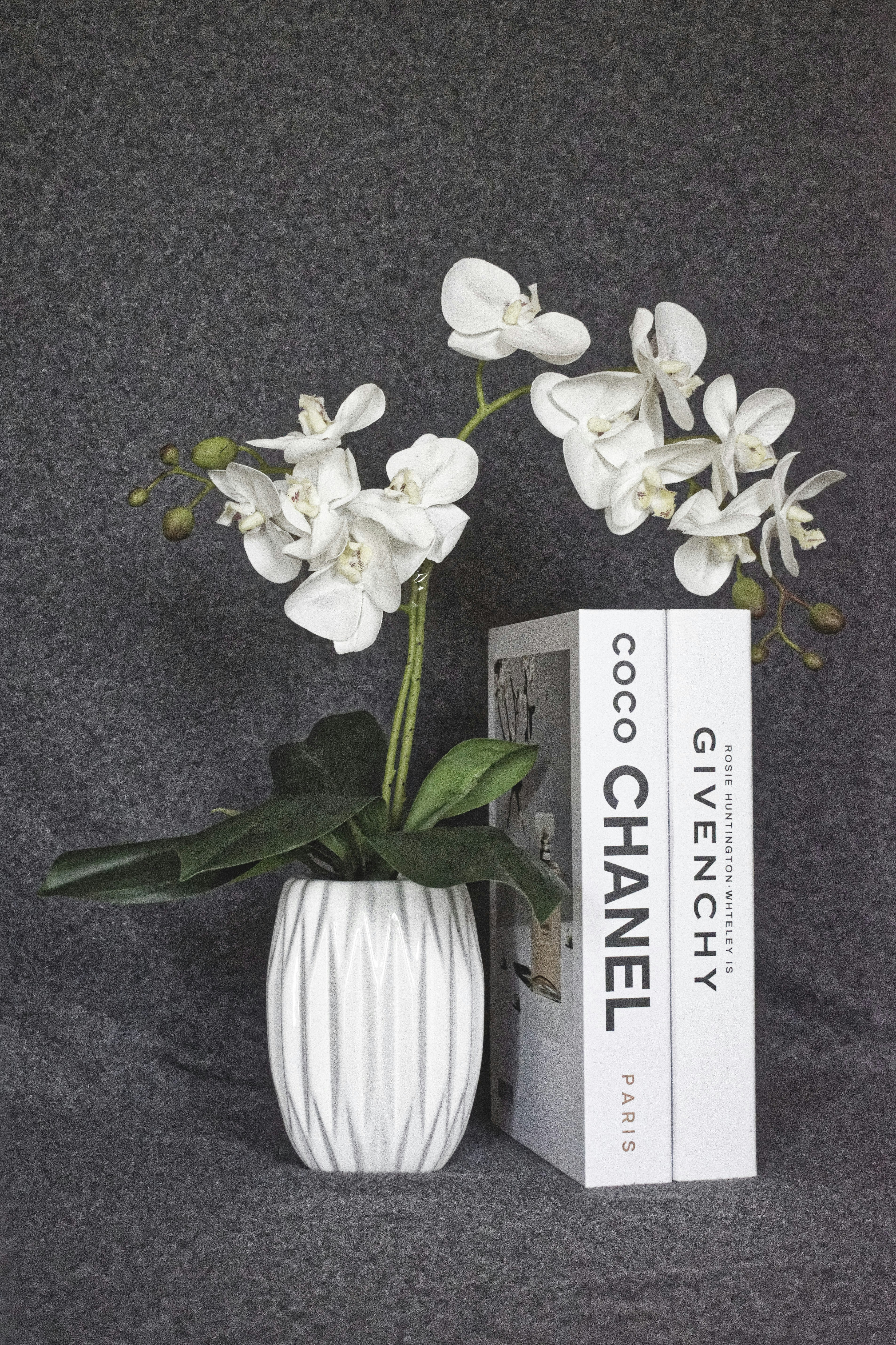 Orchid Symphony: White Blooms Beside Chanel and Givenchy