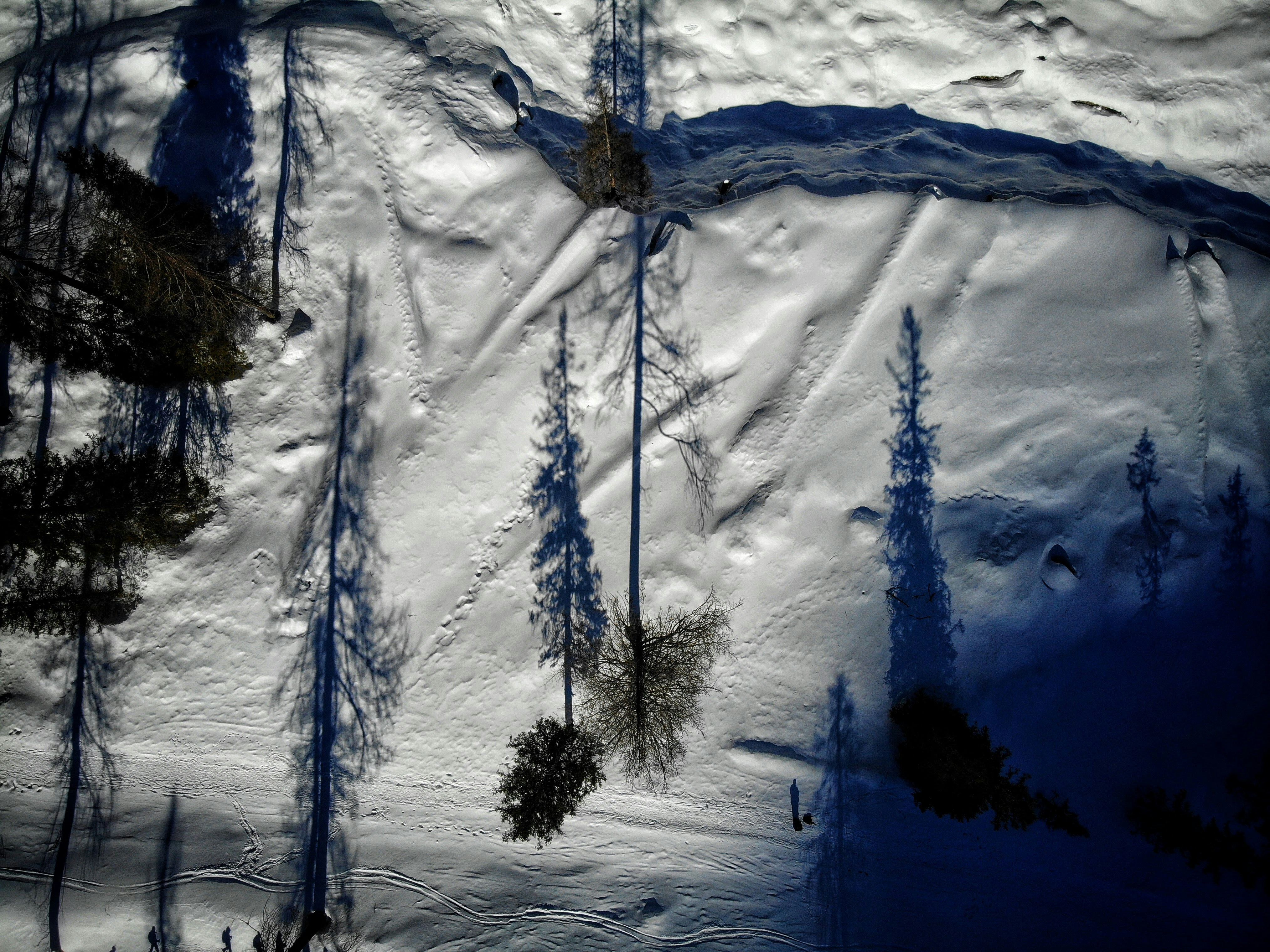 Elongated Shadows over a Snowbound Ridge