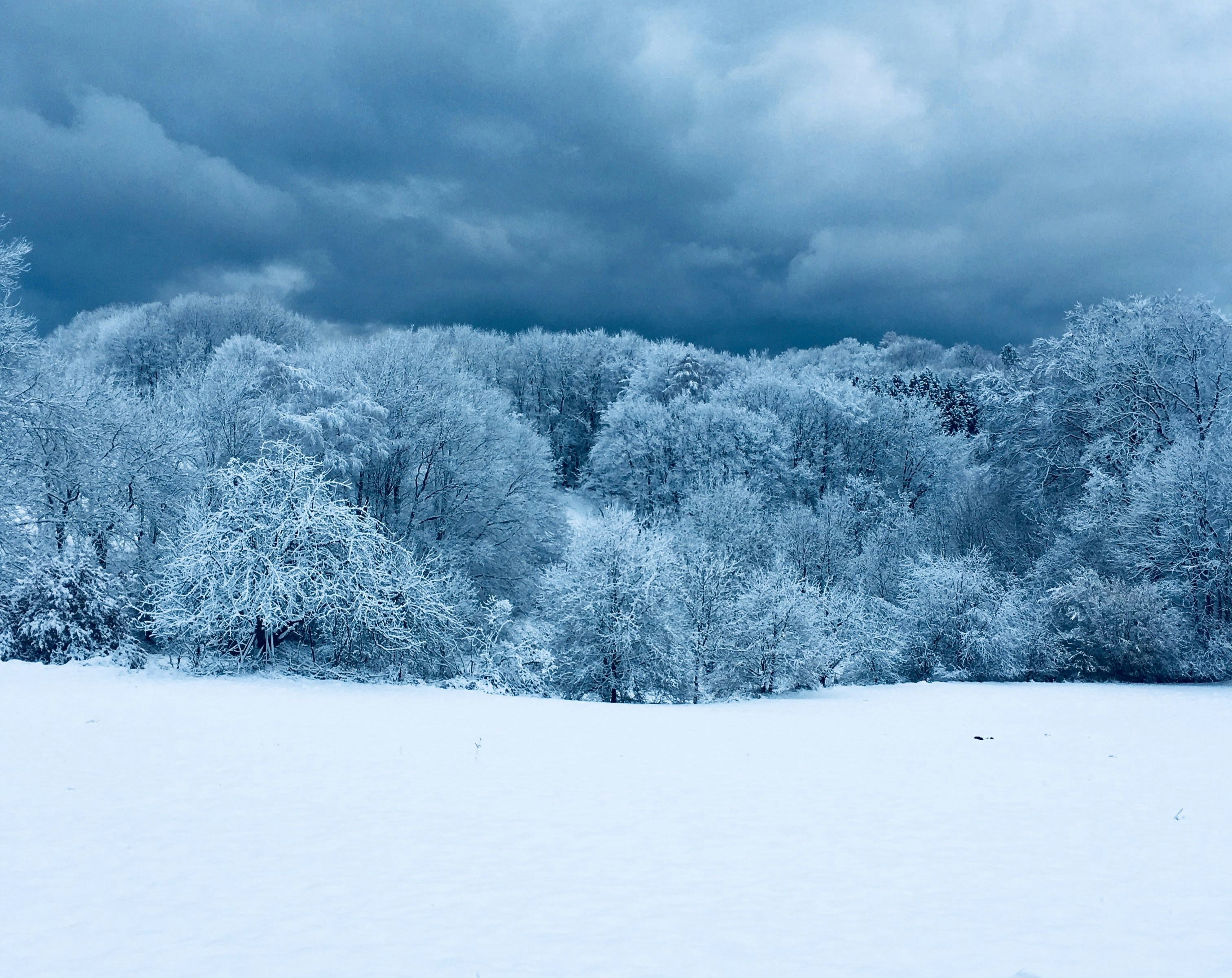 Blue Winter Pictures | Download Free Images on Unsplash