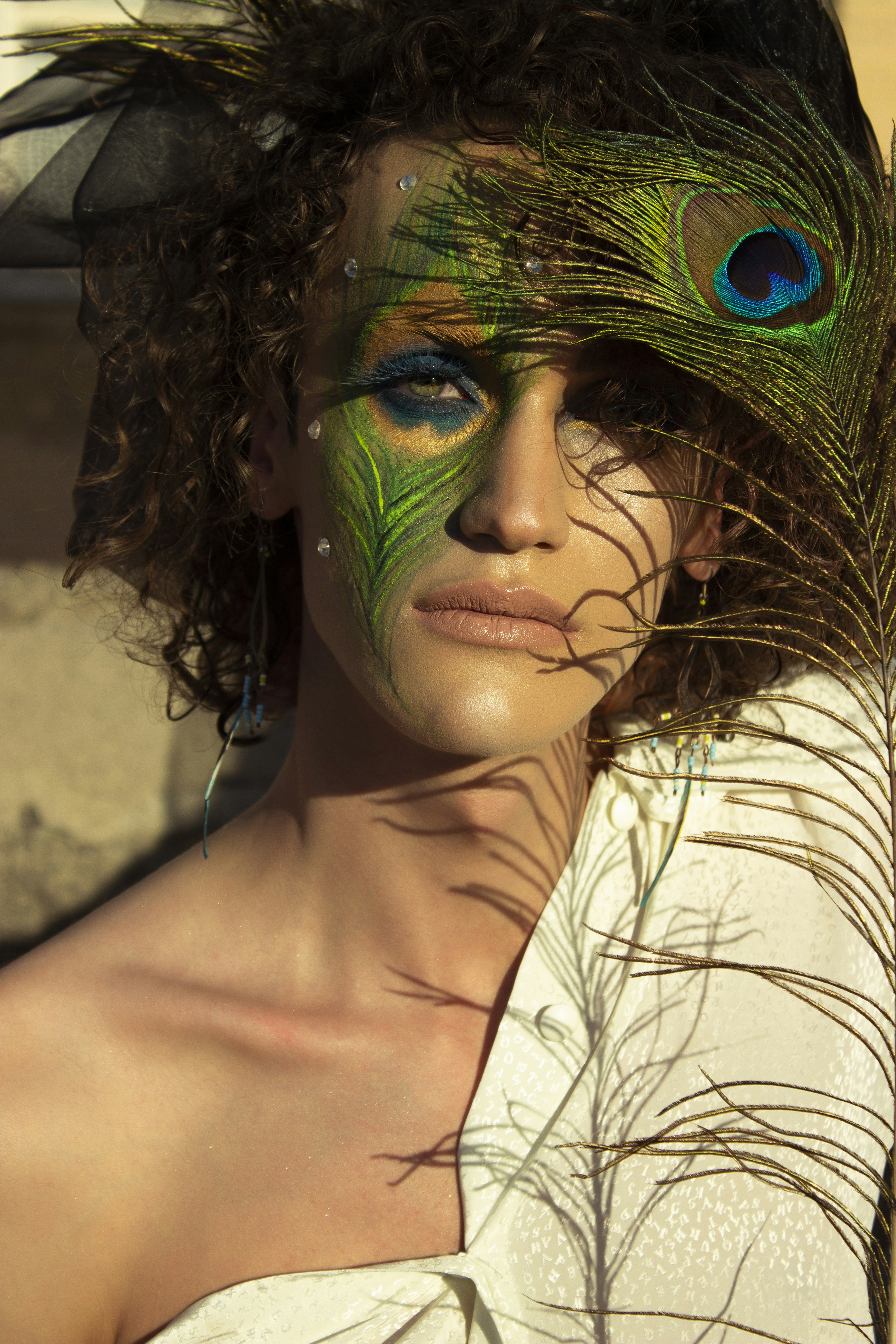 Peacock Shadow: A Portrait of Color and Light