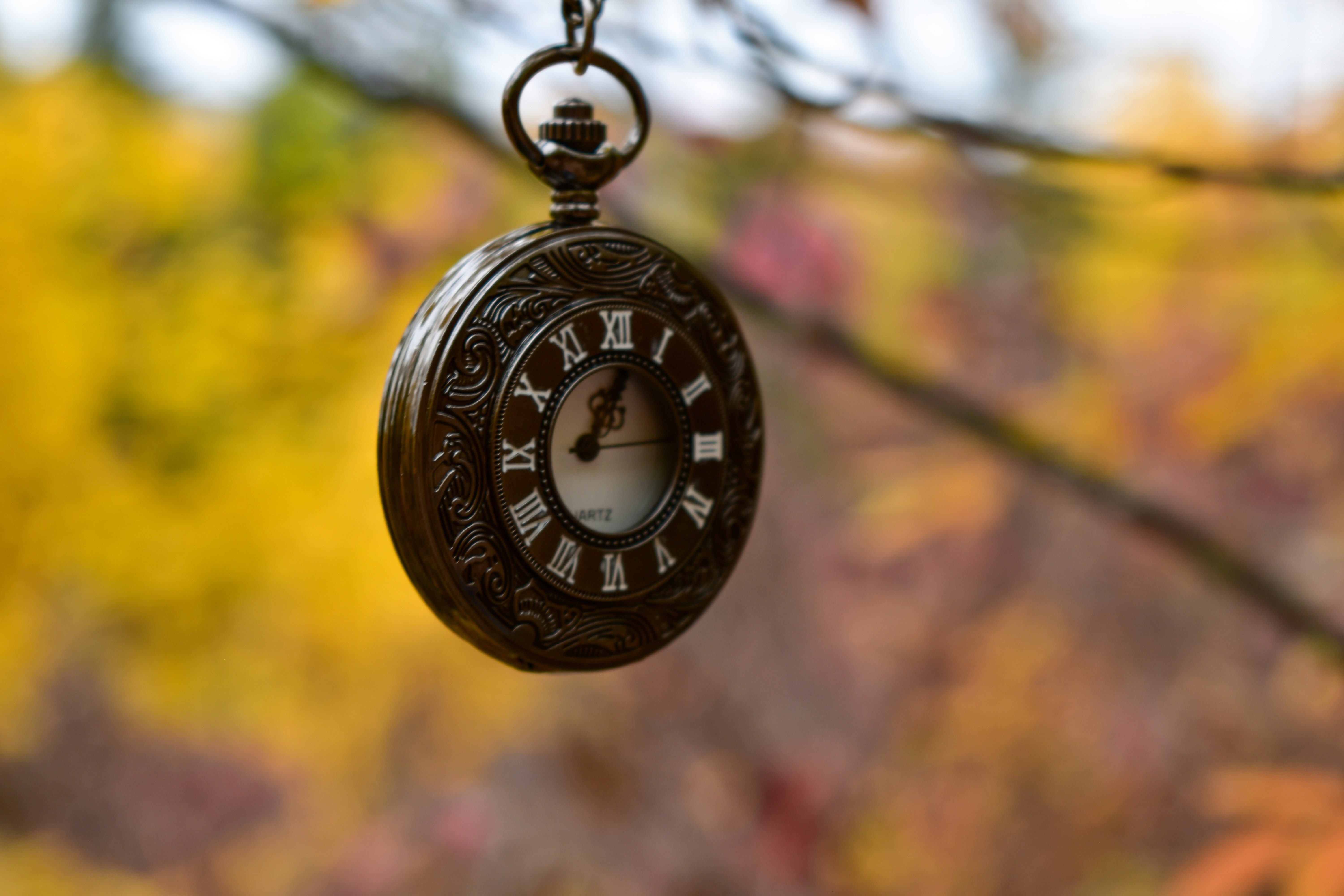 Hanging Time: An Antique Pocket Watch in Autumn's Haze