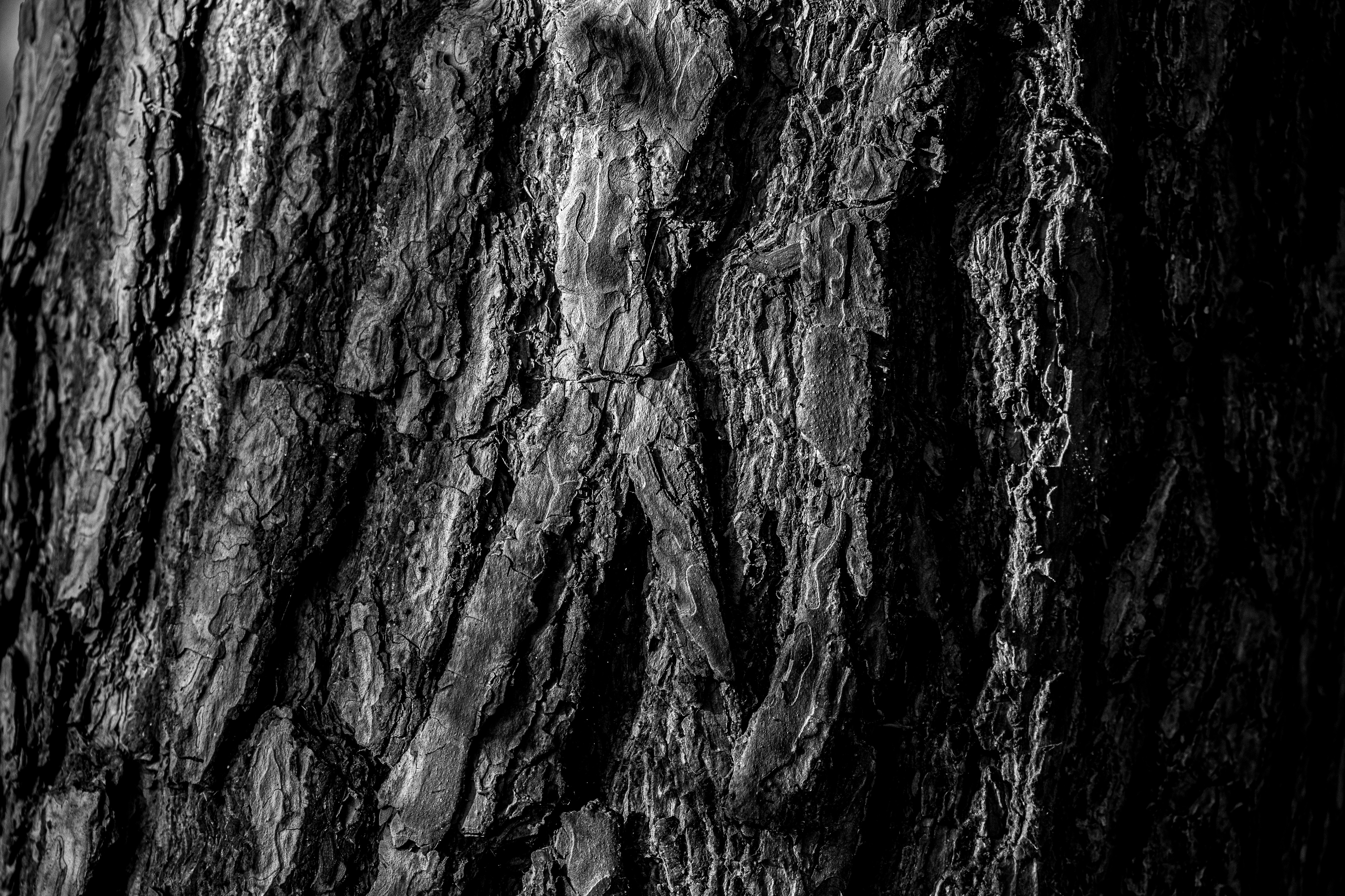 1000+ Dark Wood Texture Pictures | Download Free Images on Unsplash